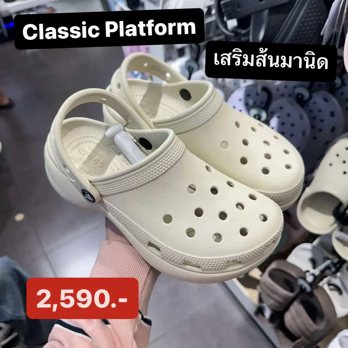 Includes ground color classic Crocs. | Gallery posted by punpromotion ...