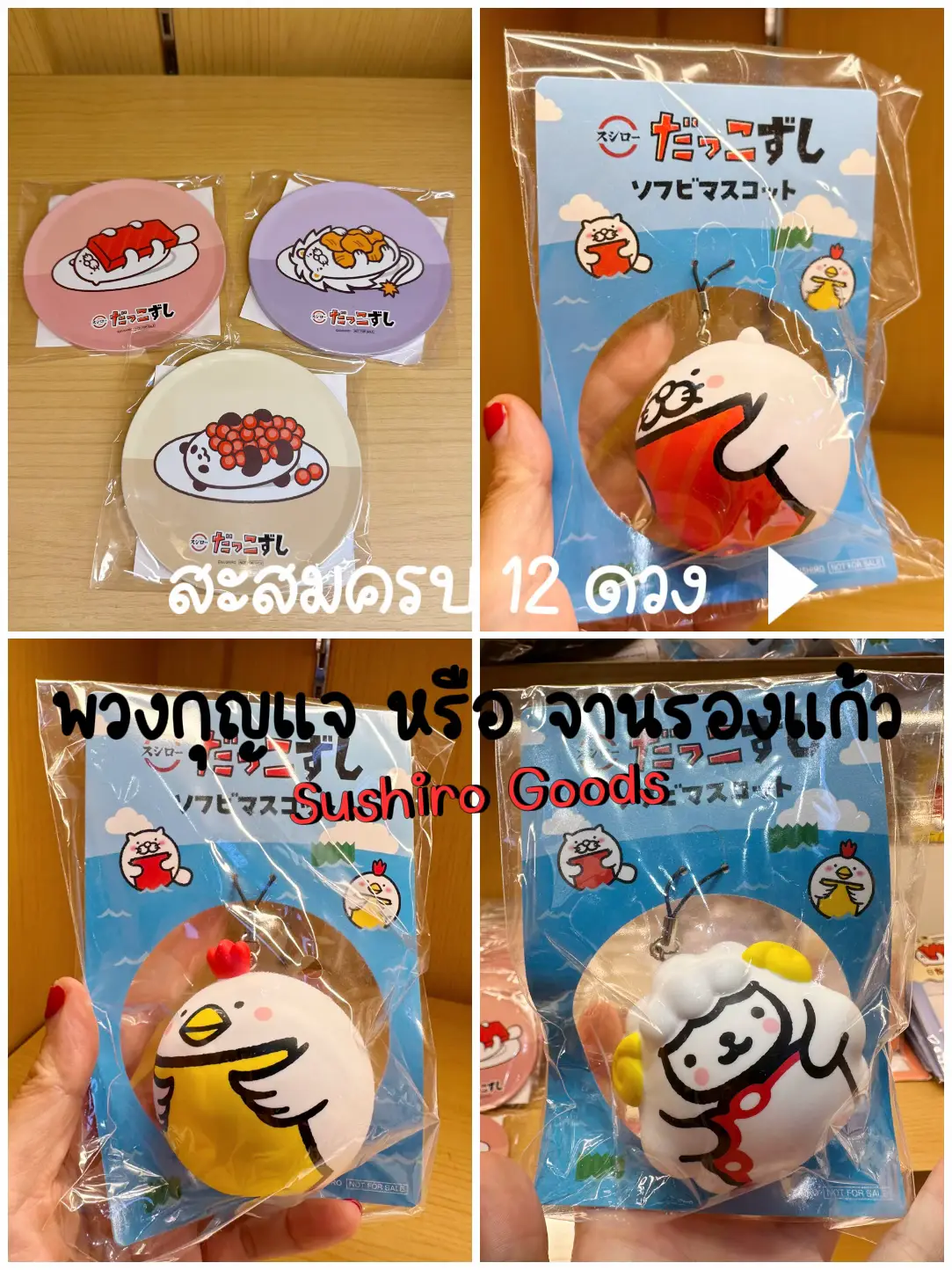 ไปล่าแต้มแลกของรางวัลที่ Sushiro กัน น่ารักน่าโดนสุดๆ 2024 | แกลเลอรี ...