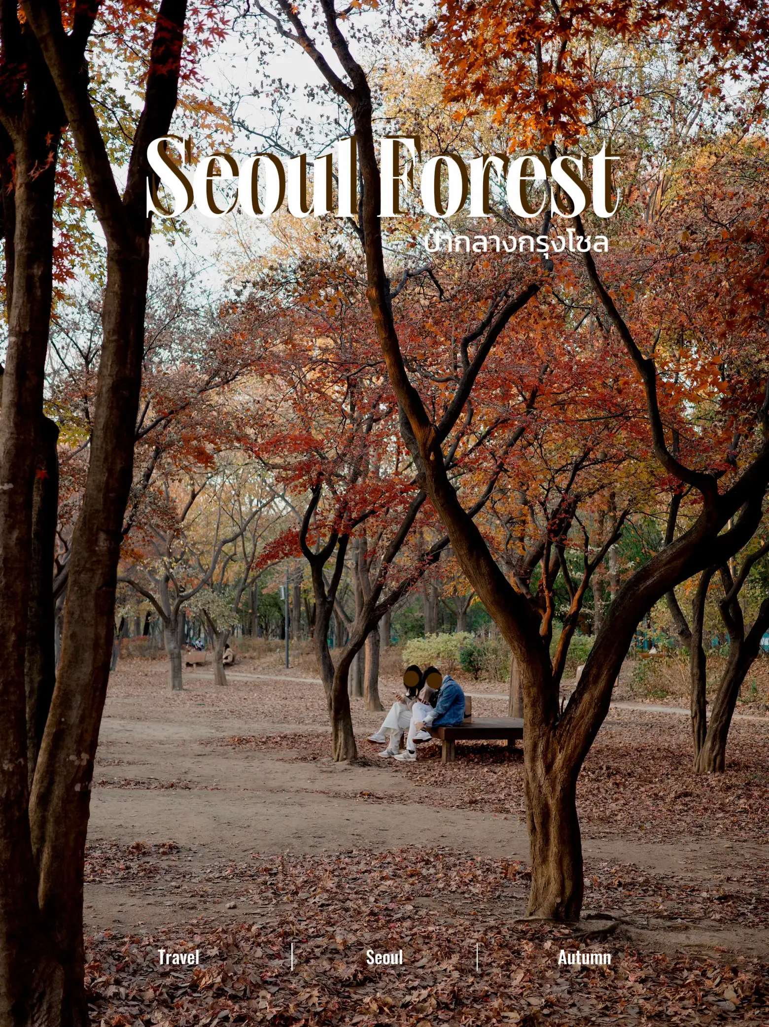 Seoul Forest | ป่ากลางกรุงโซลกับใบไม้เปลี่ยนสี🍁 | แกลเลอรีที่โพสต์โดย ...