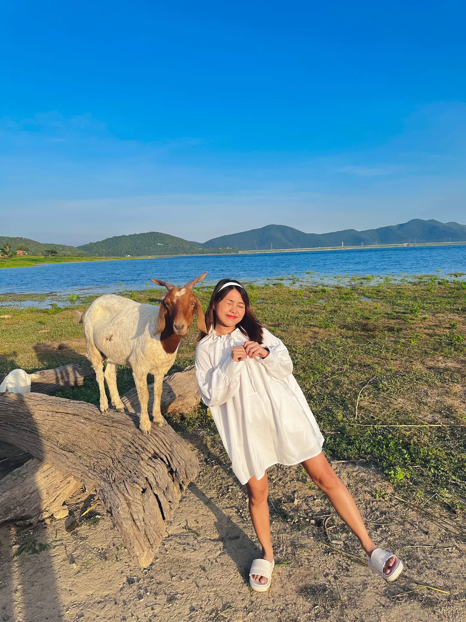 ถ่ายรูปกับน้องแพะที่เขื่อนปราณบุรี | แกลเลอรีที่โพสต์โดย Reerun_WS | Lemon8