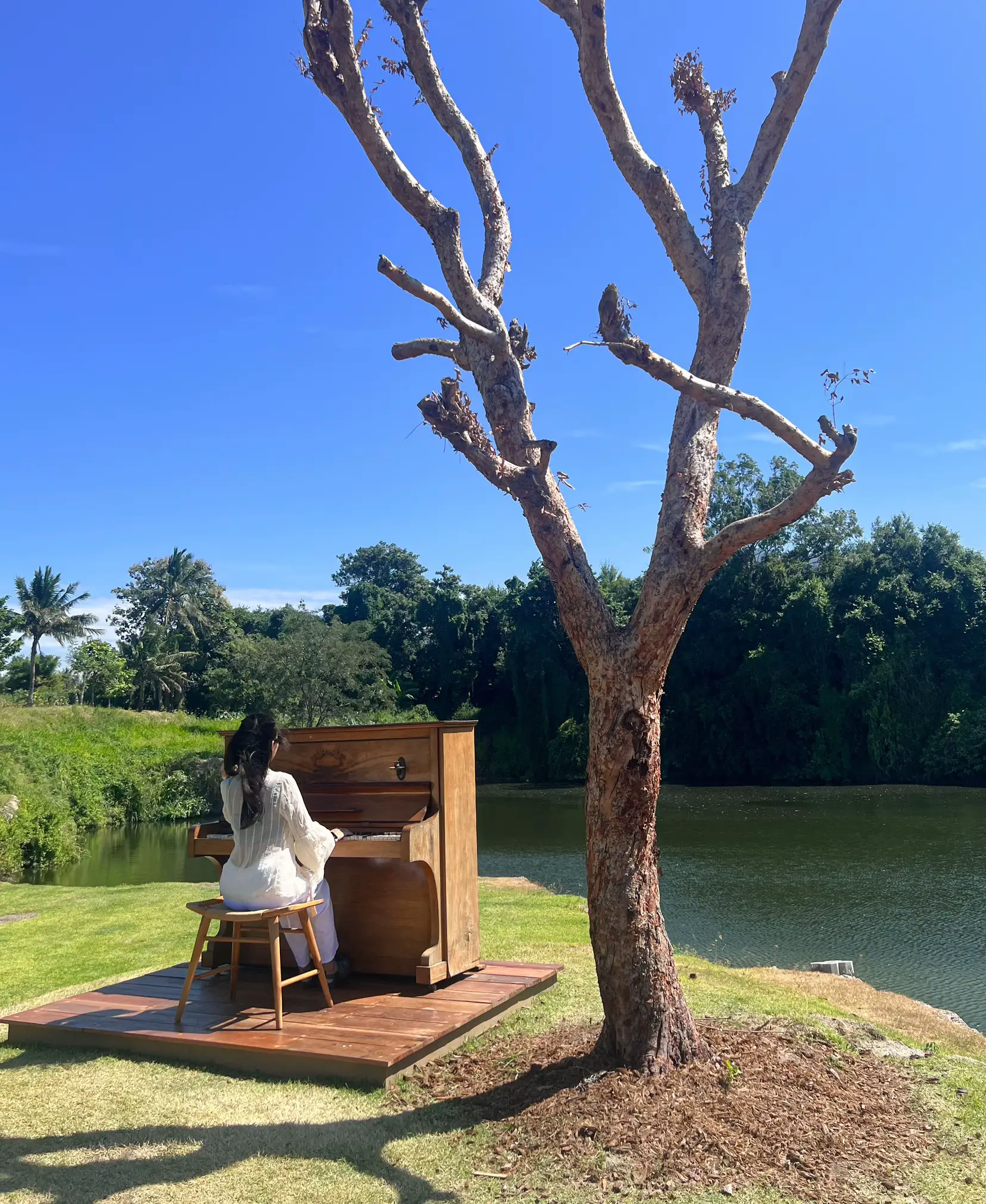 Serene House Cafe | แกลเลอรีที่โพสต์โดย K A E | Lemon8