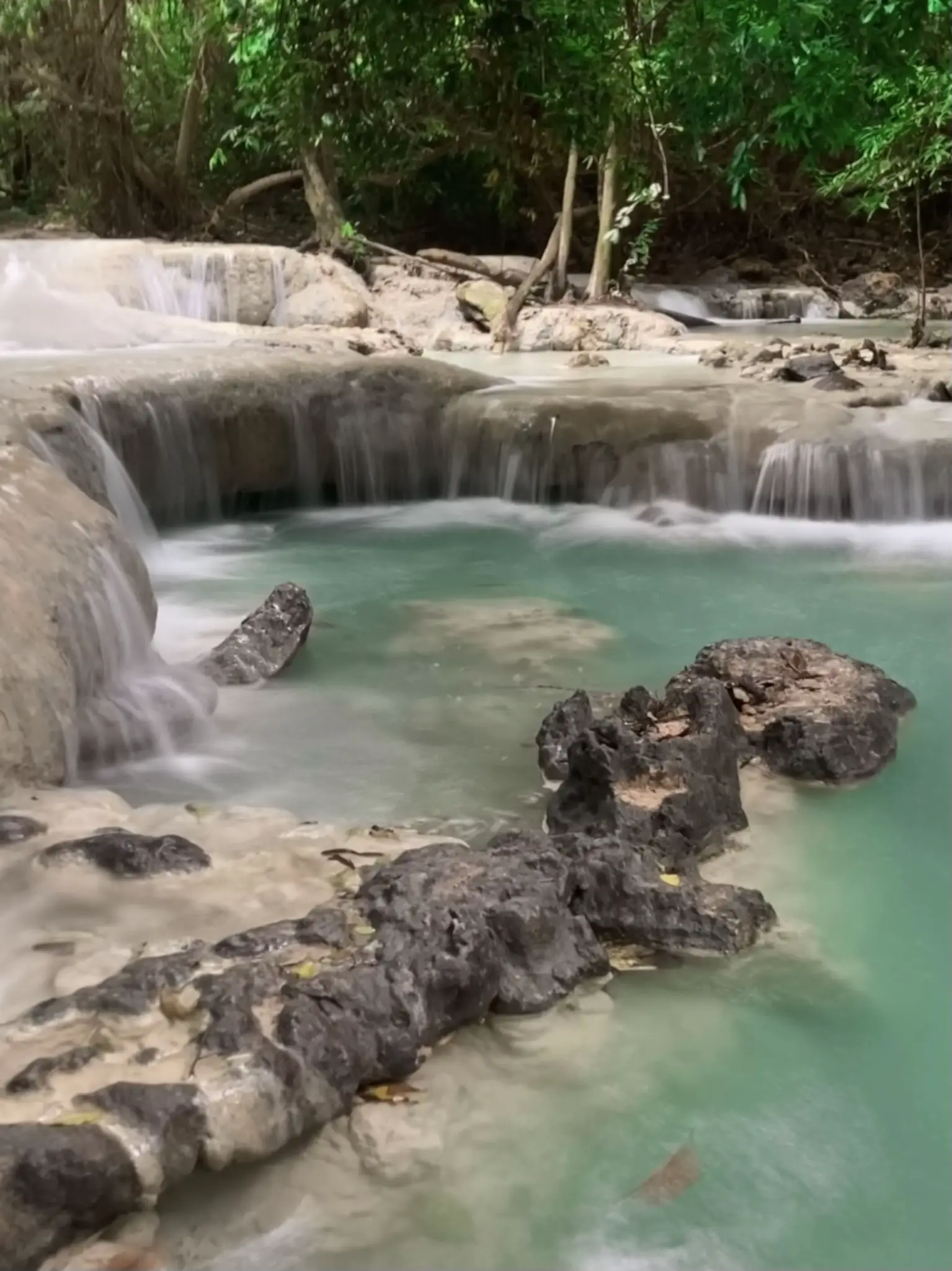 มาแต่งตัวเป็นแฟรี่ในป่ากันน🧚🏻 | แกลเลอรีที่โพสต์โดย Ra Ri | Lemon8