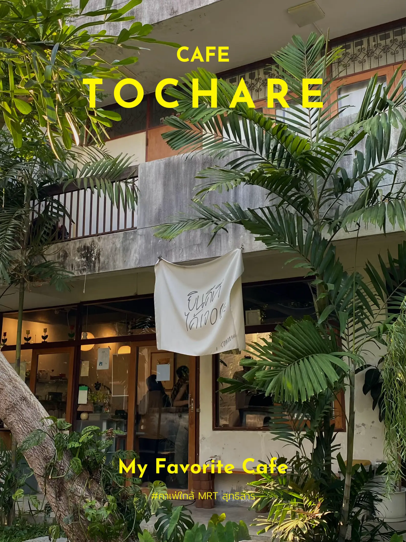 To chare คาเฟ่ที่เหมือนอยู่บ้านเพื่อน 🏠🌳 | แกลเลอรีที่โพสต์โดย 2kging ...