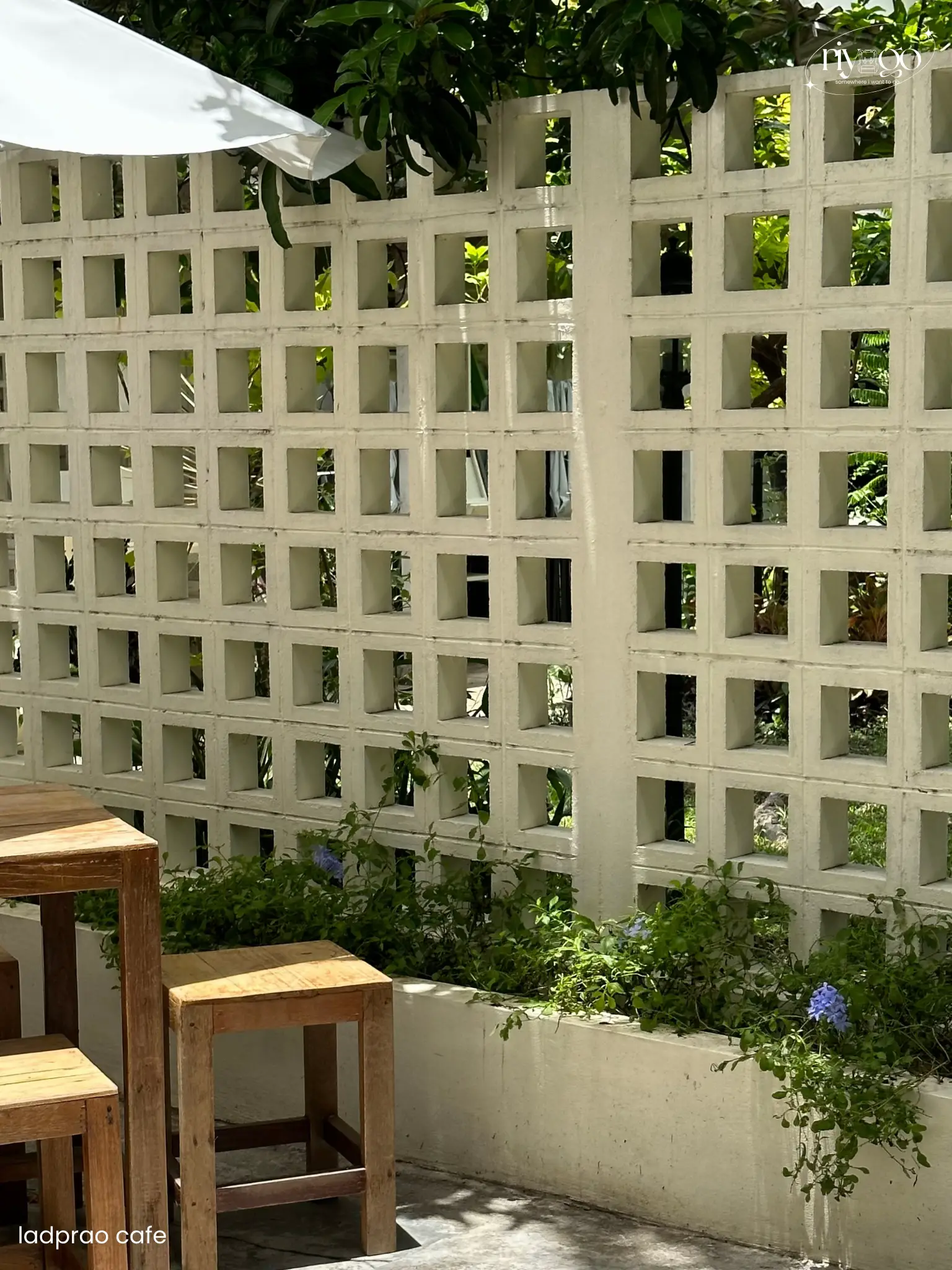 Home cafe ลับๆใจกลางกรุง ย่านลาดพร้าว🍃 🌳 | แกลเลอรีที่โพสต์โดย NUT.PARI | Lemon8