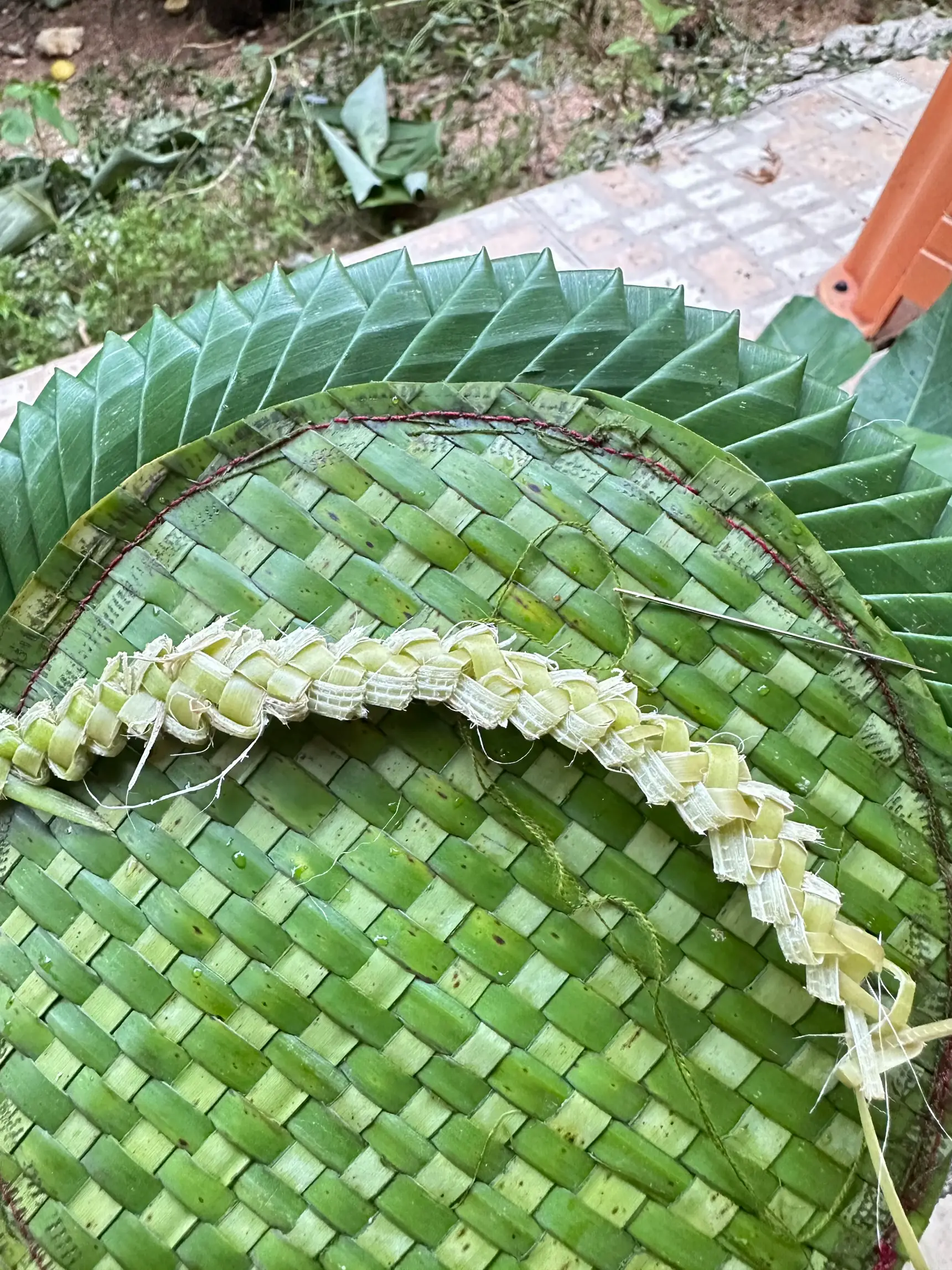 แหนมหมูทอด | แกลเลอรีที่โพสต์โดย Rosniyom | Lemon8