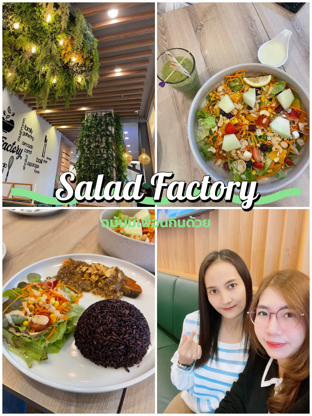 Salad Factory 🥗 Branch Zpell Rangsit | Gallery posted by Tammy450 | Lemon8