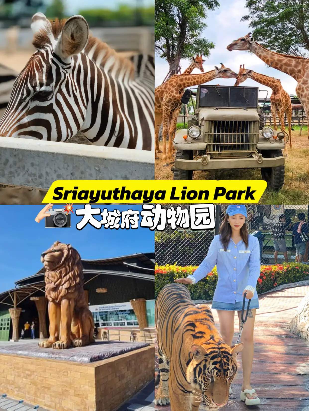 📍 One Day Trip อยุธยา แบบตัวมัม🐯 | แกลเลอรีที่โพสต์โดย NKK_XX98 | Lemon8