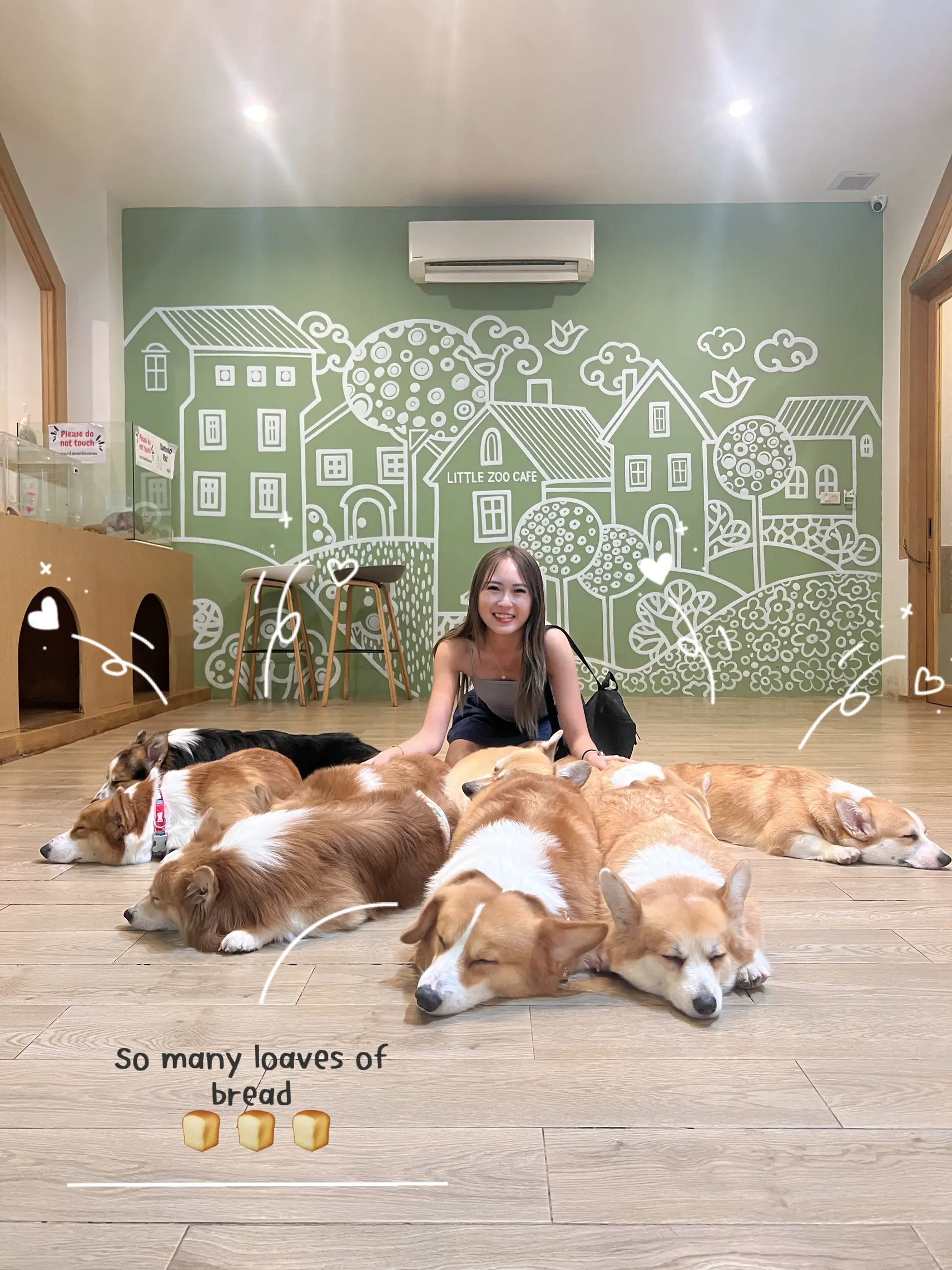 best capybara cafe in Bangkok - Lemon8 Search