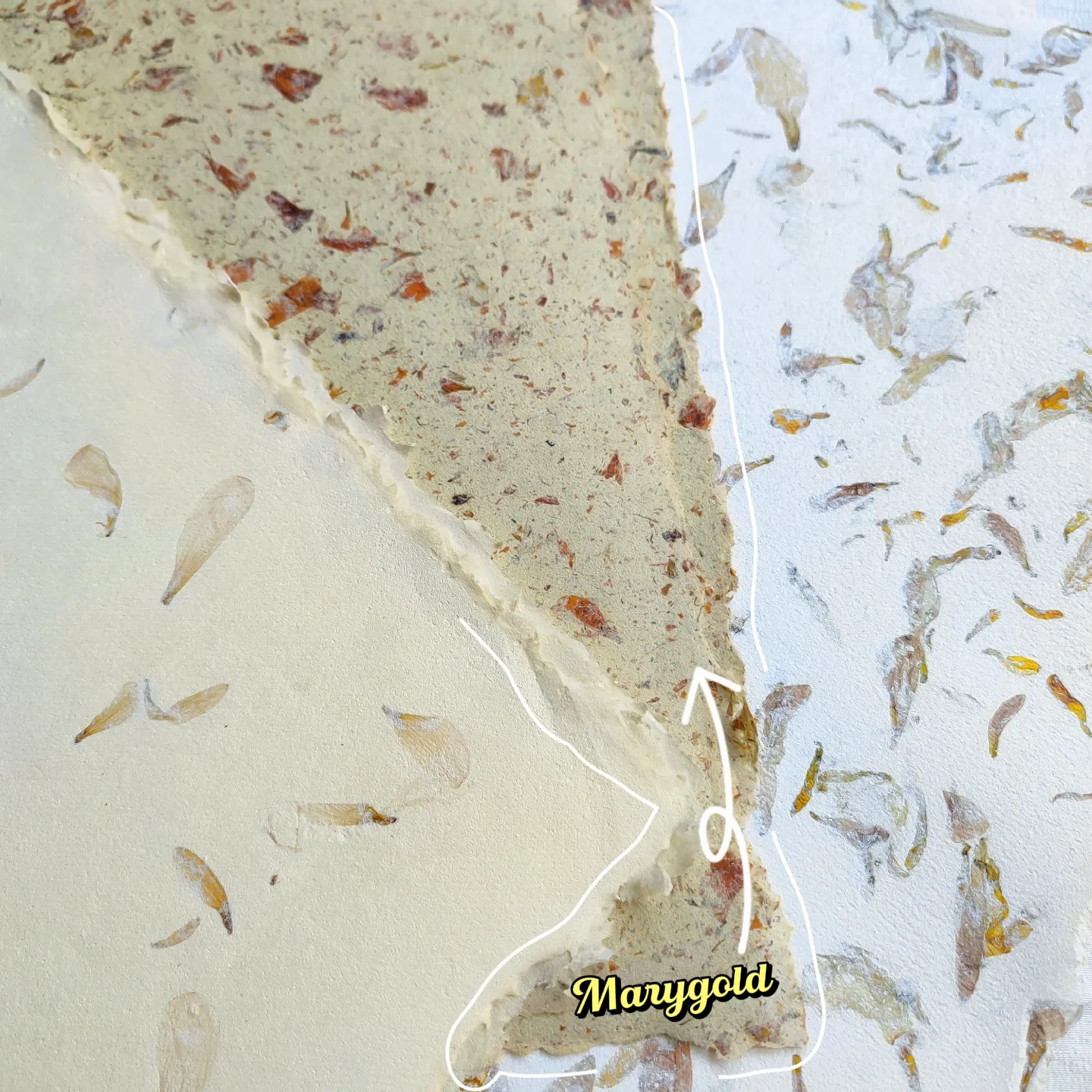 Aesthetic Handmade Paper | Galeri diposting oleh Palka artshop | Lemon8