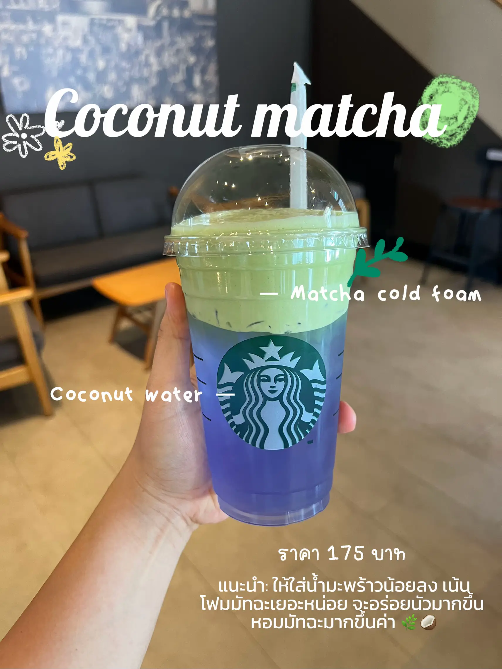 Coconut matcha starbucks | แกลเลอรีที่โพสต์โดย Whappypicx | Lemon8