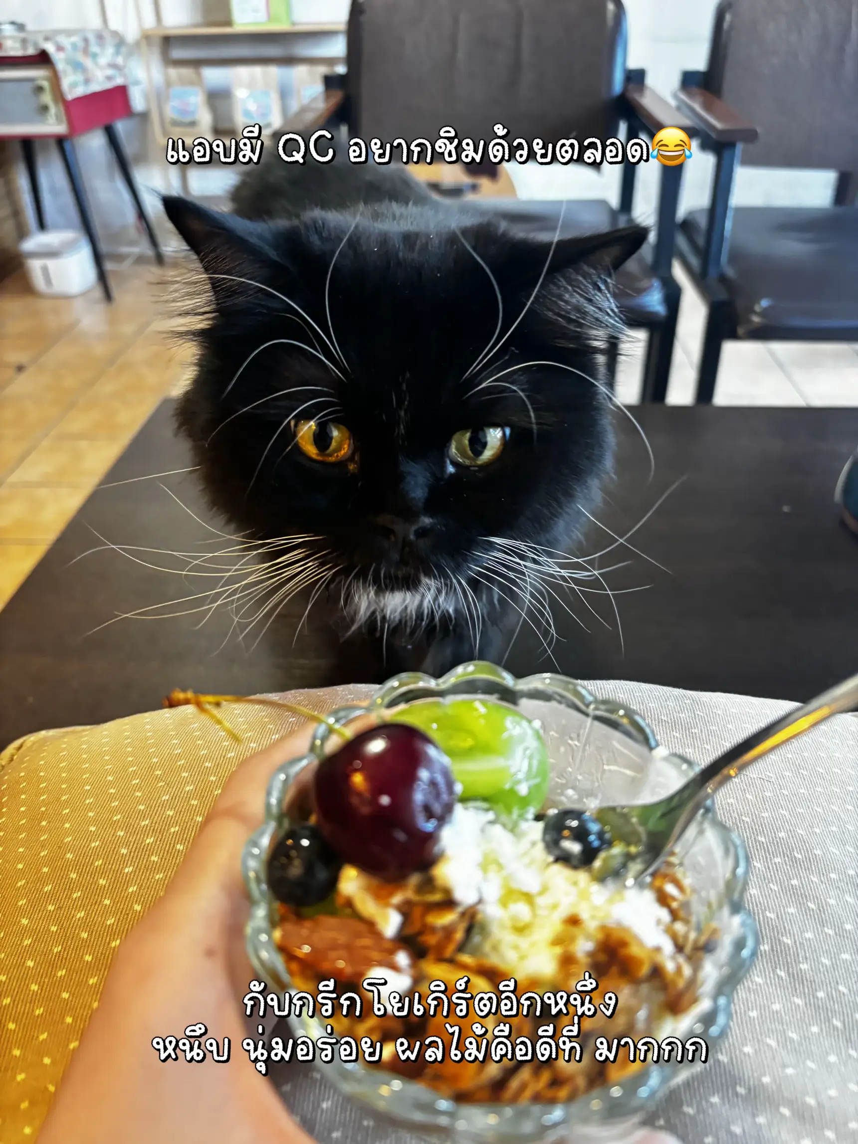 คาเฟ่ศาลายา | แกลเลอรีที่โพสต์โดย Pareploy 💖 | Lemon8