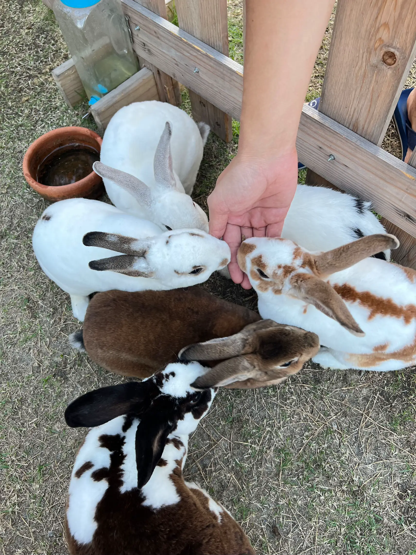 So story at กิ่งแก้ว สมุทรปราการ คาเฟ่ใกล้สนามบินสุวรรณภูมิ | แกลเลอรีที่โพสต์โดย Ardy ️ | Lemon8