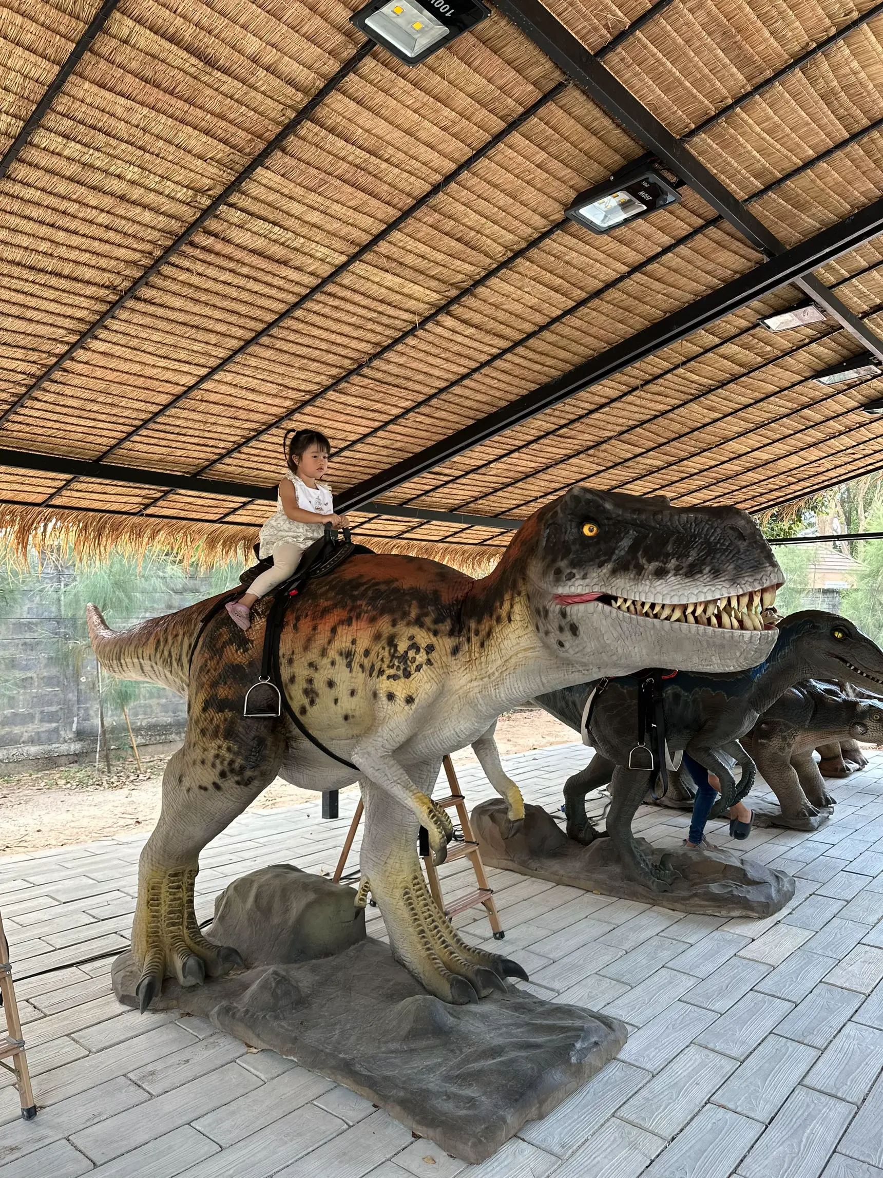 พาลูกเที่ยว : สวนไดโนเสาร์ พัทยา Dinosaur Kingdom | แกลเลอรีที่โพสต์โดย ไอแอมอั่งเปา | Lemon8