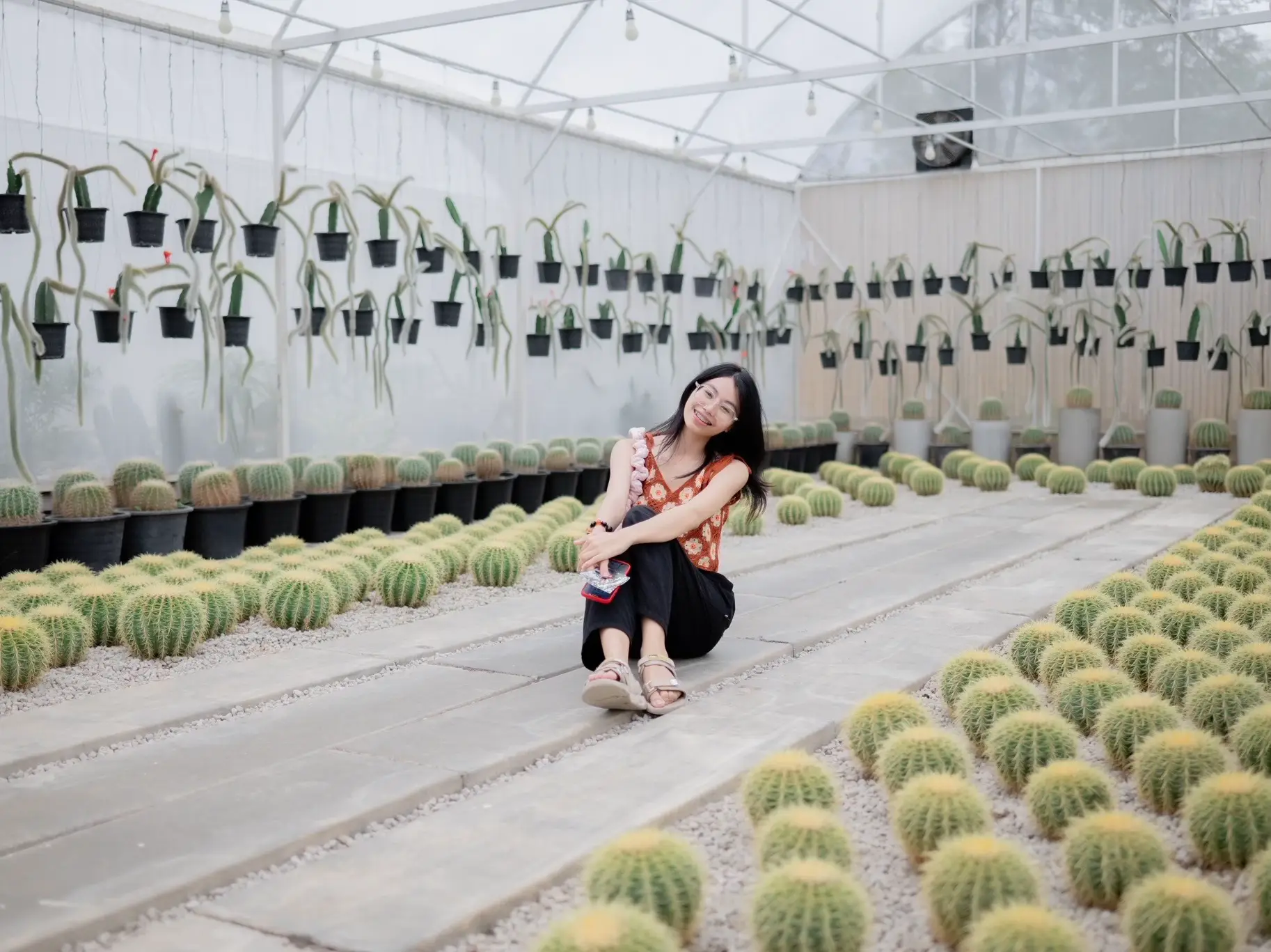 Chan nature cafe, "cactus garden cafe surrounded by fields of flowers ...