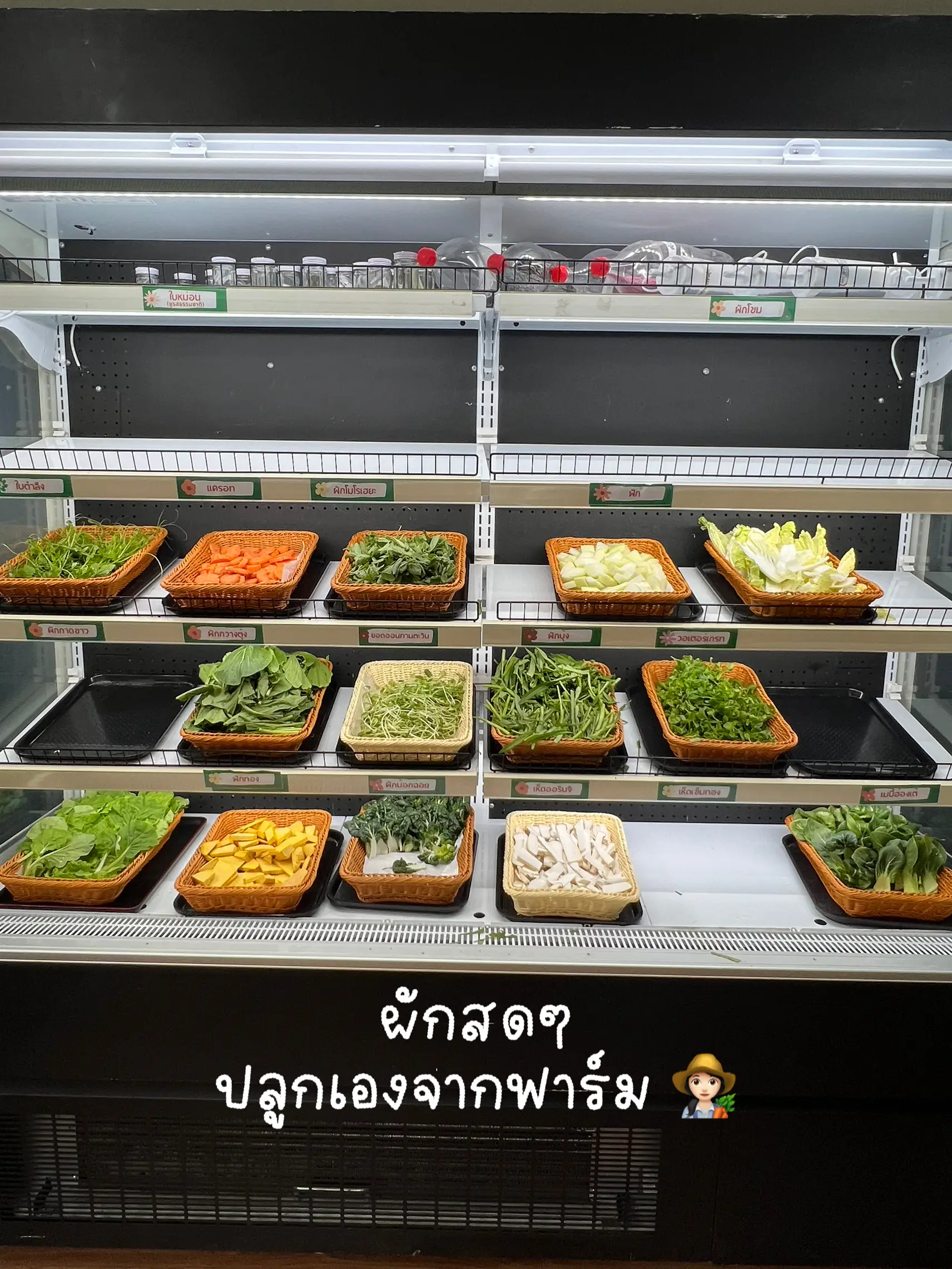 Groot Hotpot ร้านชาบูสุดน่ารัก 👩🏻‍🌾💖 🥬 | แกลเลอรีที่โพสต์โดย mameaw | Lemon8