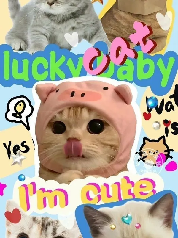 WALLPAPER So Cute V.2🍋 😍 | แกลเลอรีที่โพสต์โดย นอนอพาเพลิน | Lemon8