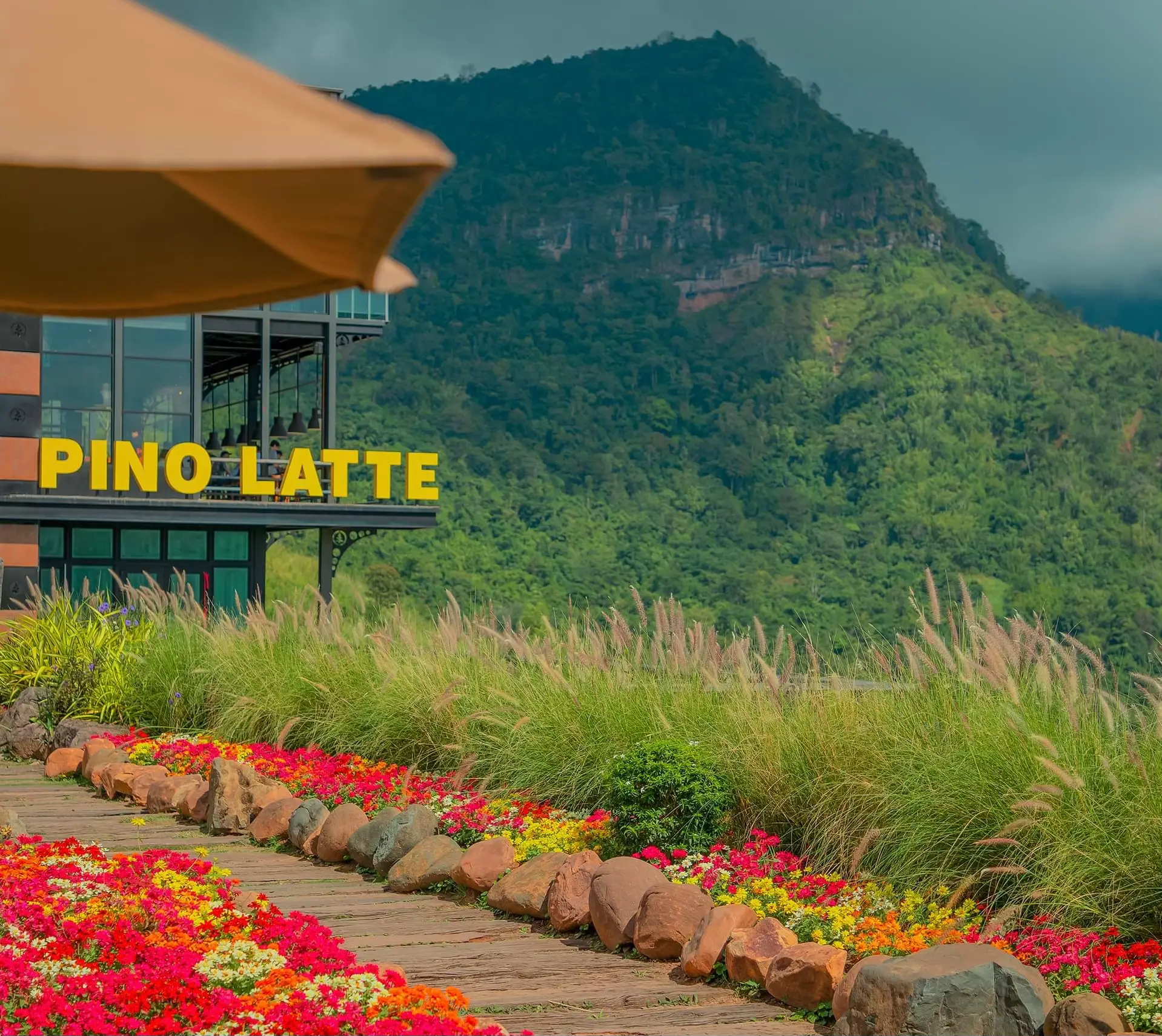 คาเฟ่ย่านเขาค้อ | แกลเลอรีที่โพสต์โดย Tipfy.stories | Lemon8