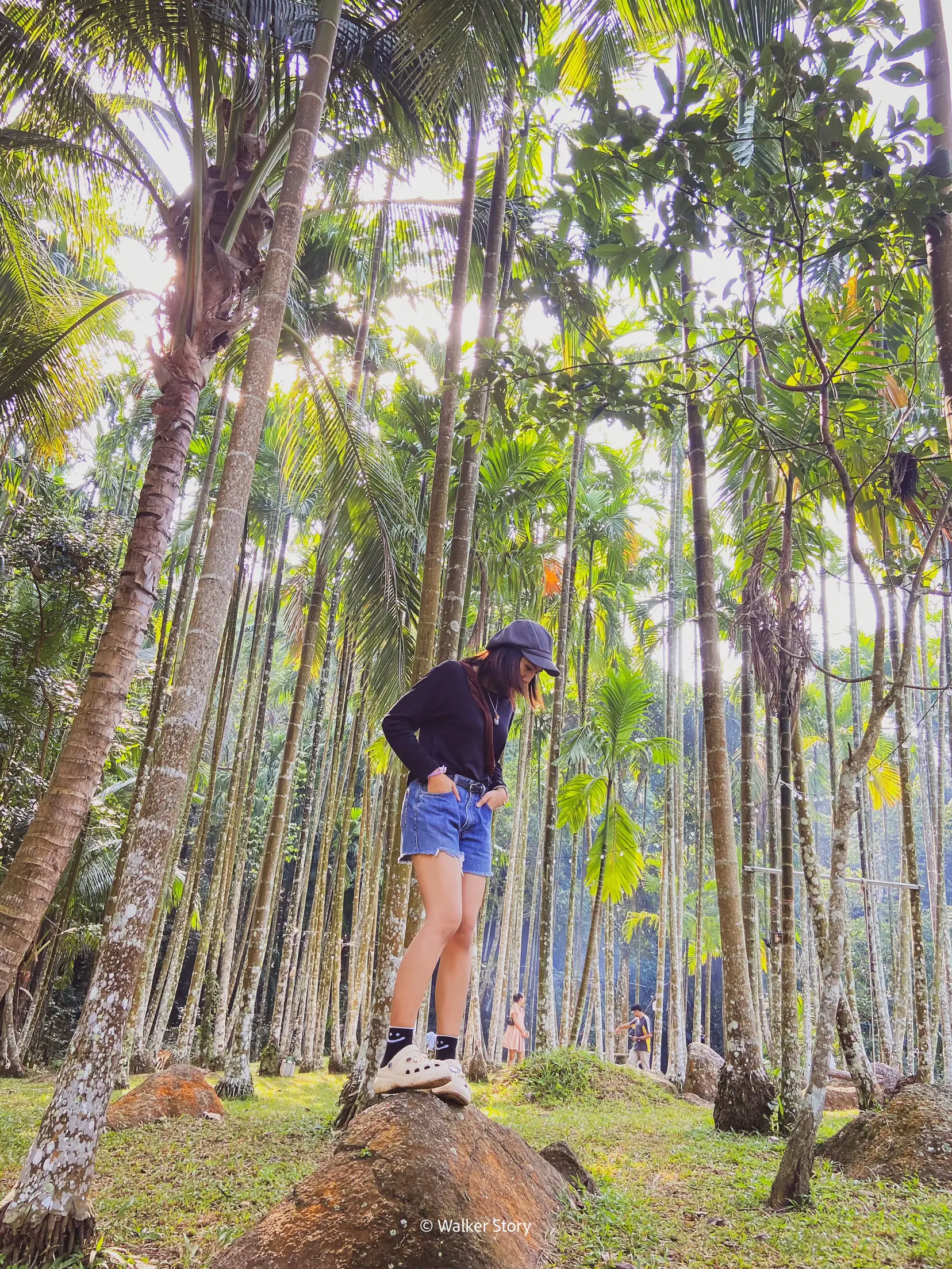 บ้านไร่ อุทัยธานี | แกลเลอรีที่โพสต์โดย Apinyan | Lemon8