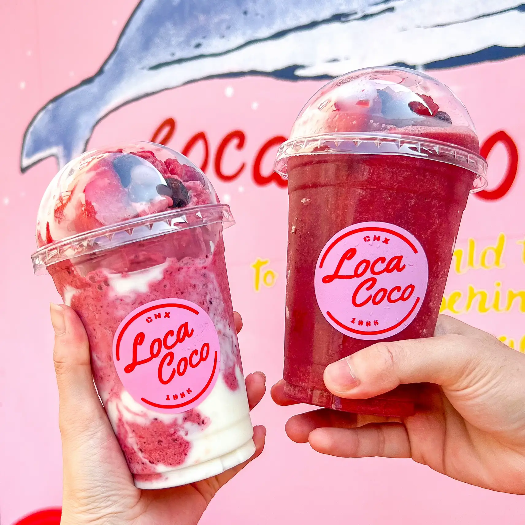 🍹 Loca Coco Smoothie & Juice #เชียงใหม่ | แกลเลอรีที่โพสต์โดย May’s ...