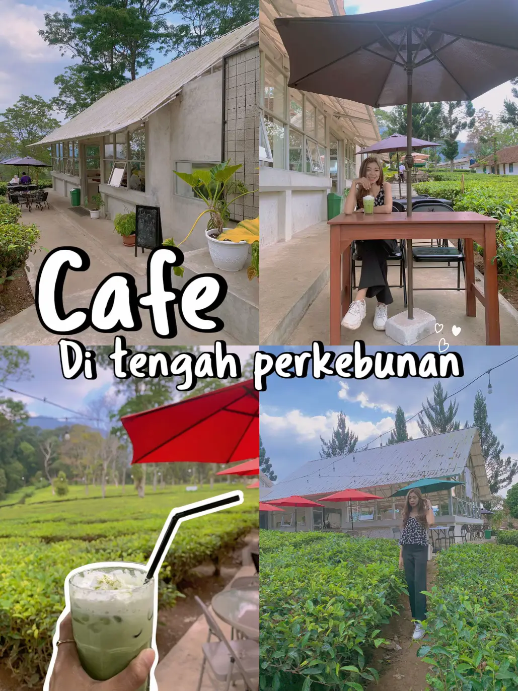 Cafe cozy berhawa sejuk “ciwidey bandung” | Galeri diposting oleh Yeti ...