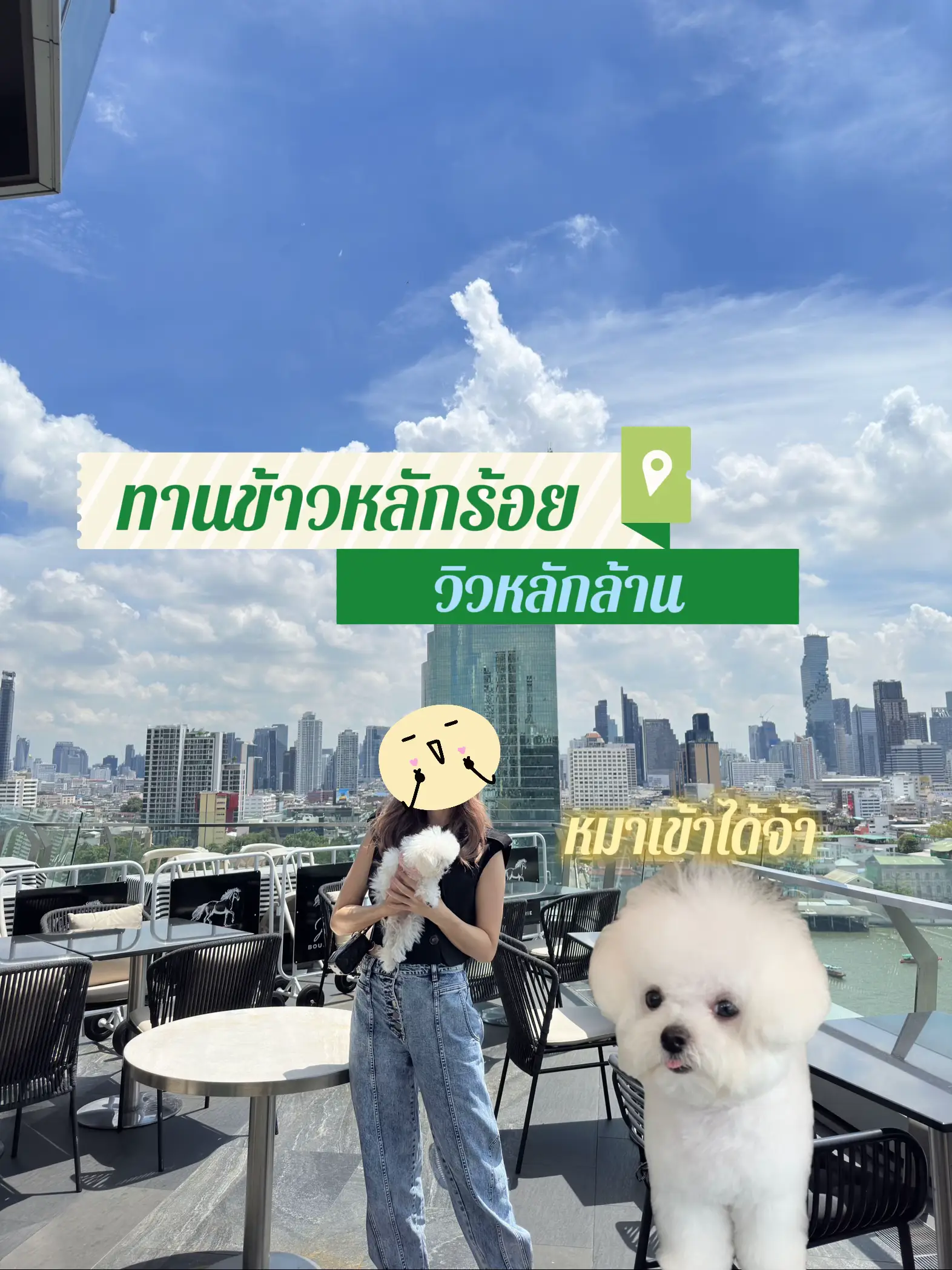 ปักหมุด ทานข้าวงบหลักร้อย วิวหลักล้าน #หมาเข้าได้ | แกลเลอรีที่โพสต์โดย ...