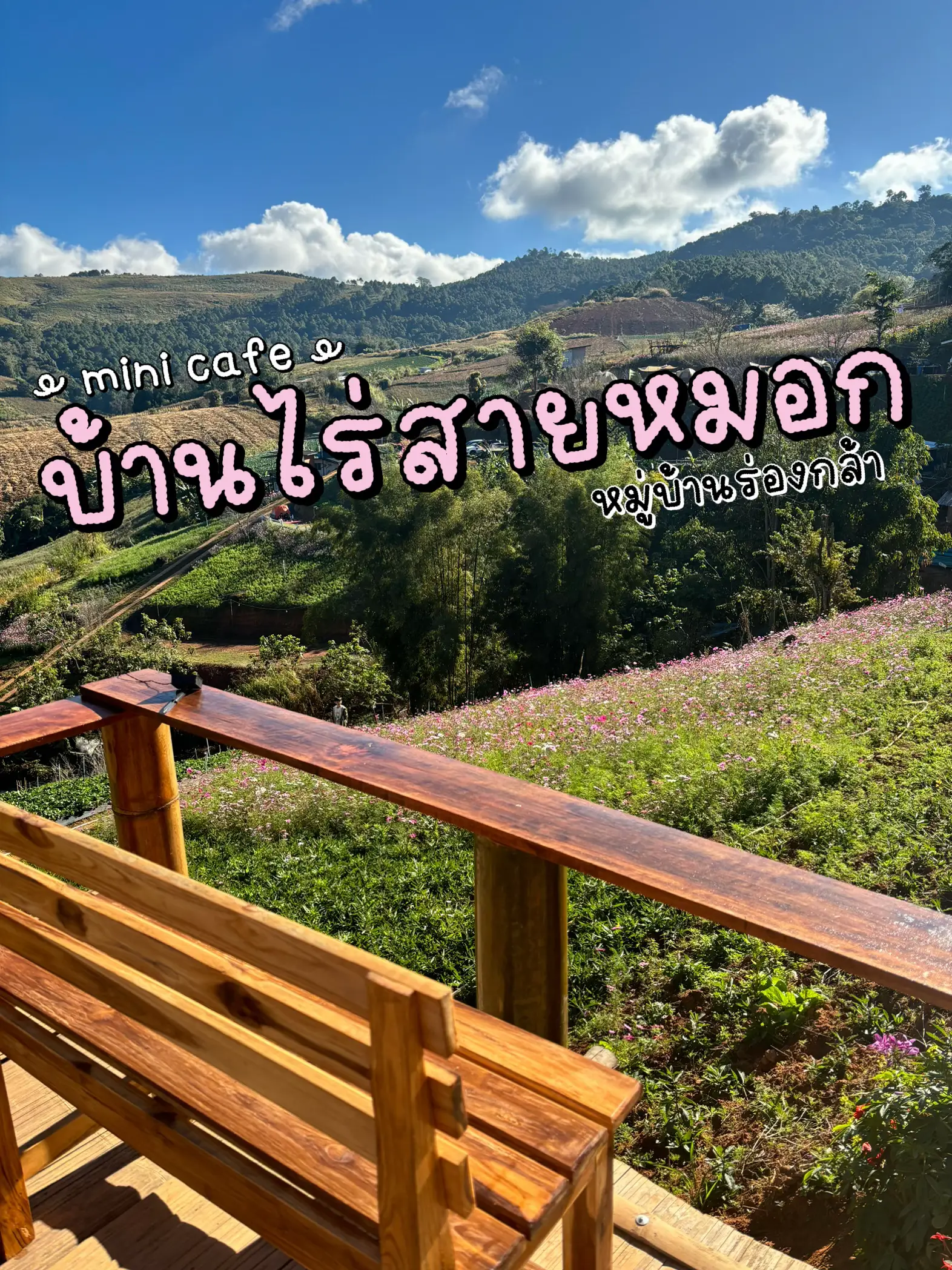 mini cafe ; บ้านไร่สายหมอก หมู่บ้านร่องกล้า ⋆˚ ˖° | แกลเลอรีที่โพสต์โดย ...