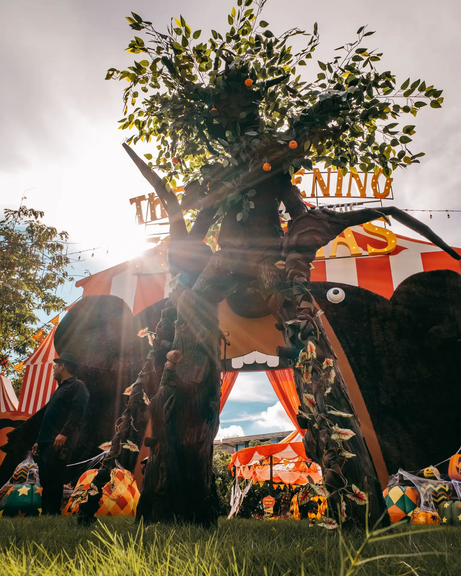 アウェイクニング・フォレスティアス2023魔法のカーニバル | Rattomarty が投稿したフォトブック | Lemon8