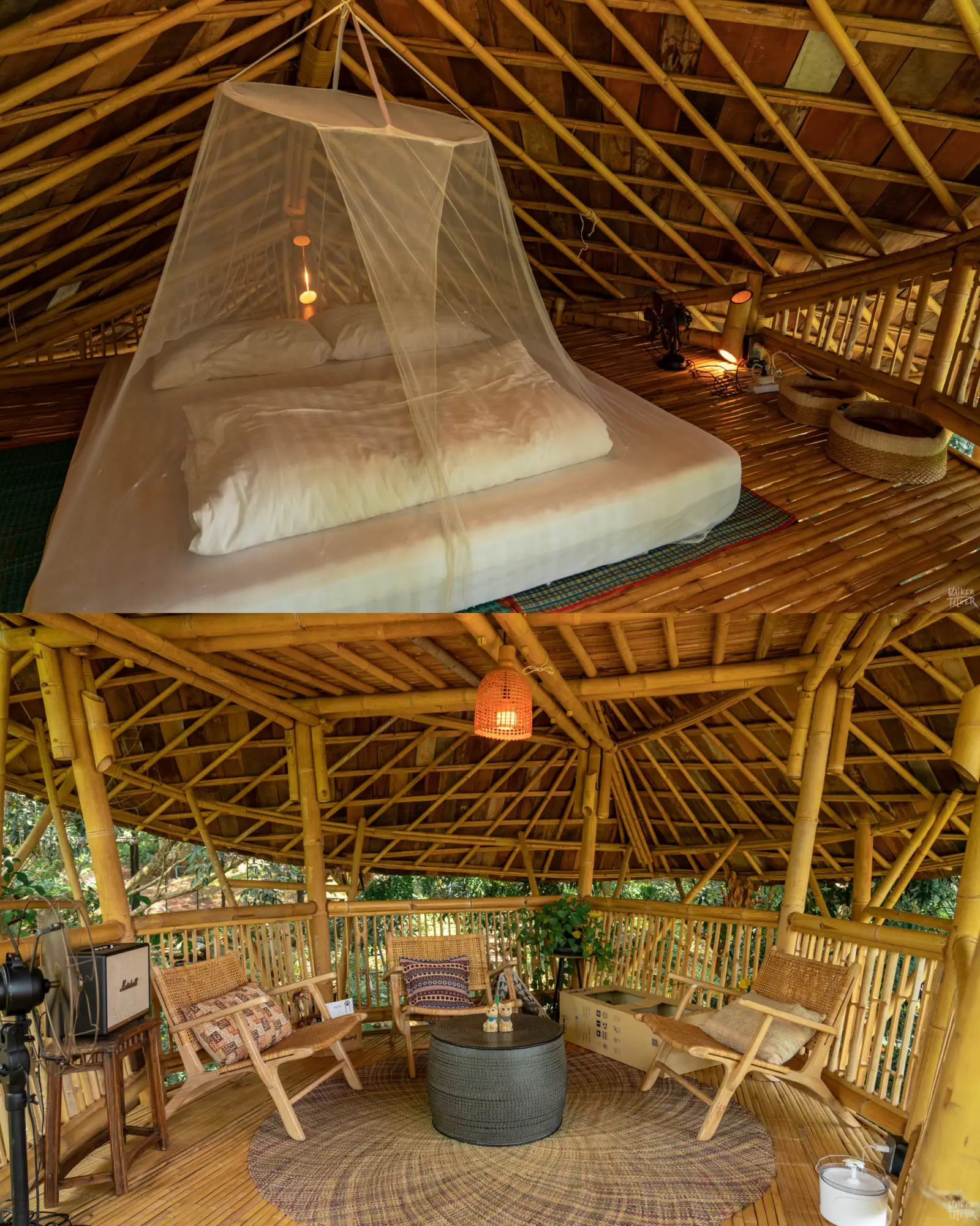 สวนแมวแม่วาง จังหวัดเชียงใหม่ 🐈🍃 | แกลเลอรีที่โพสต์โดย Go went Girls ...