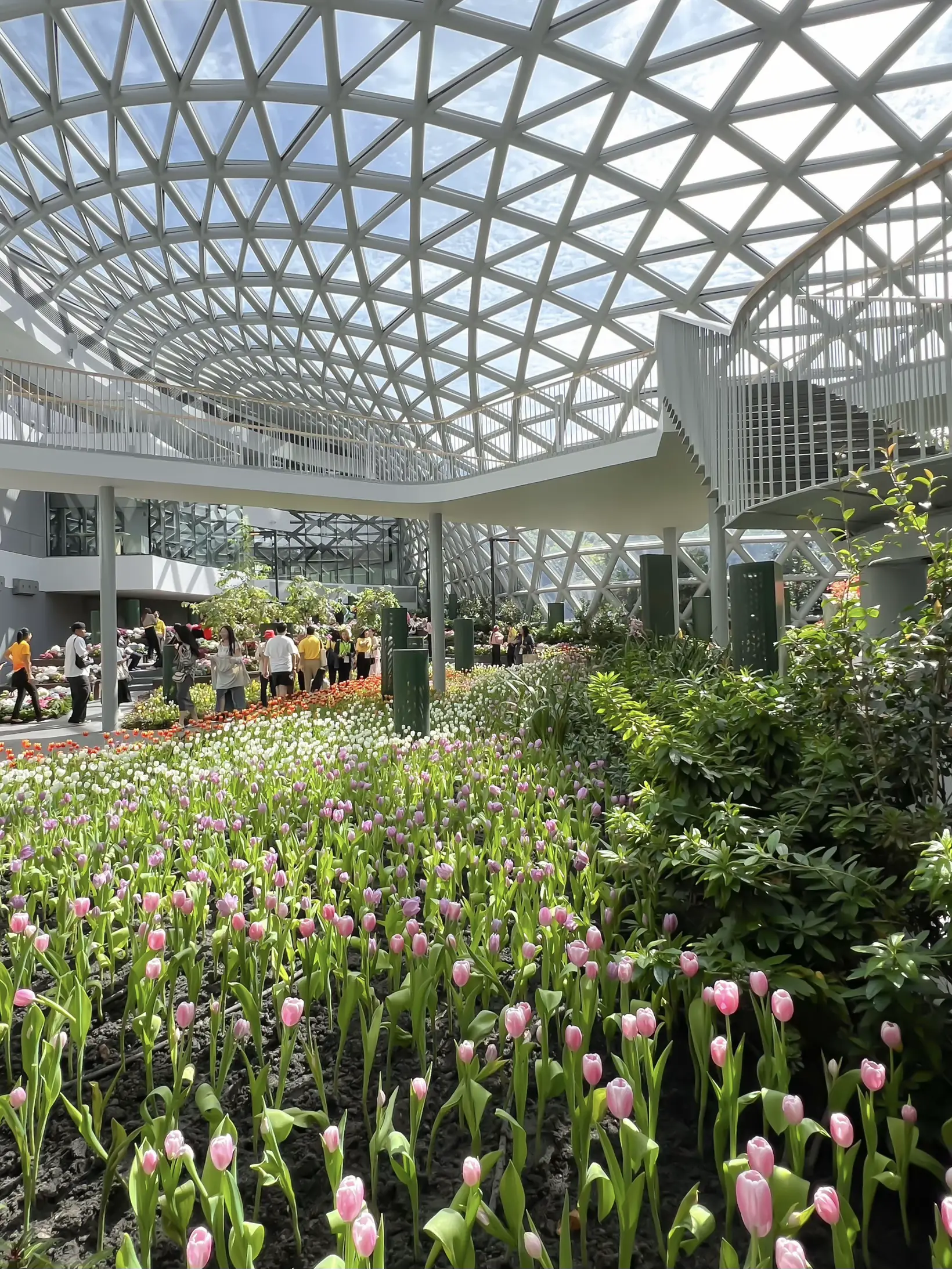 Miracle of Natural at Rayong | แกลเลอรีที่โพสต์โดย Theaaom aom | Lemon8