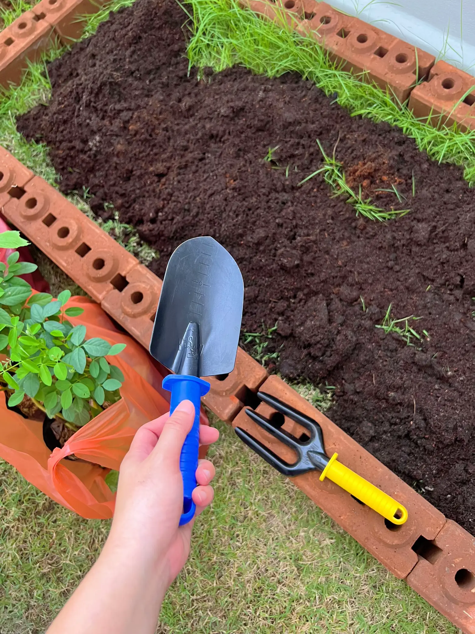 ทำแปลงผัก EP 1 | แกลเลอรีที่โพสต์โดย TP Studio Home | Lemon8