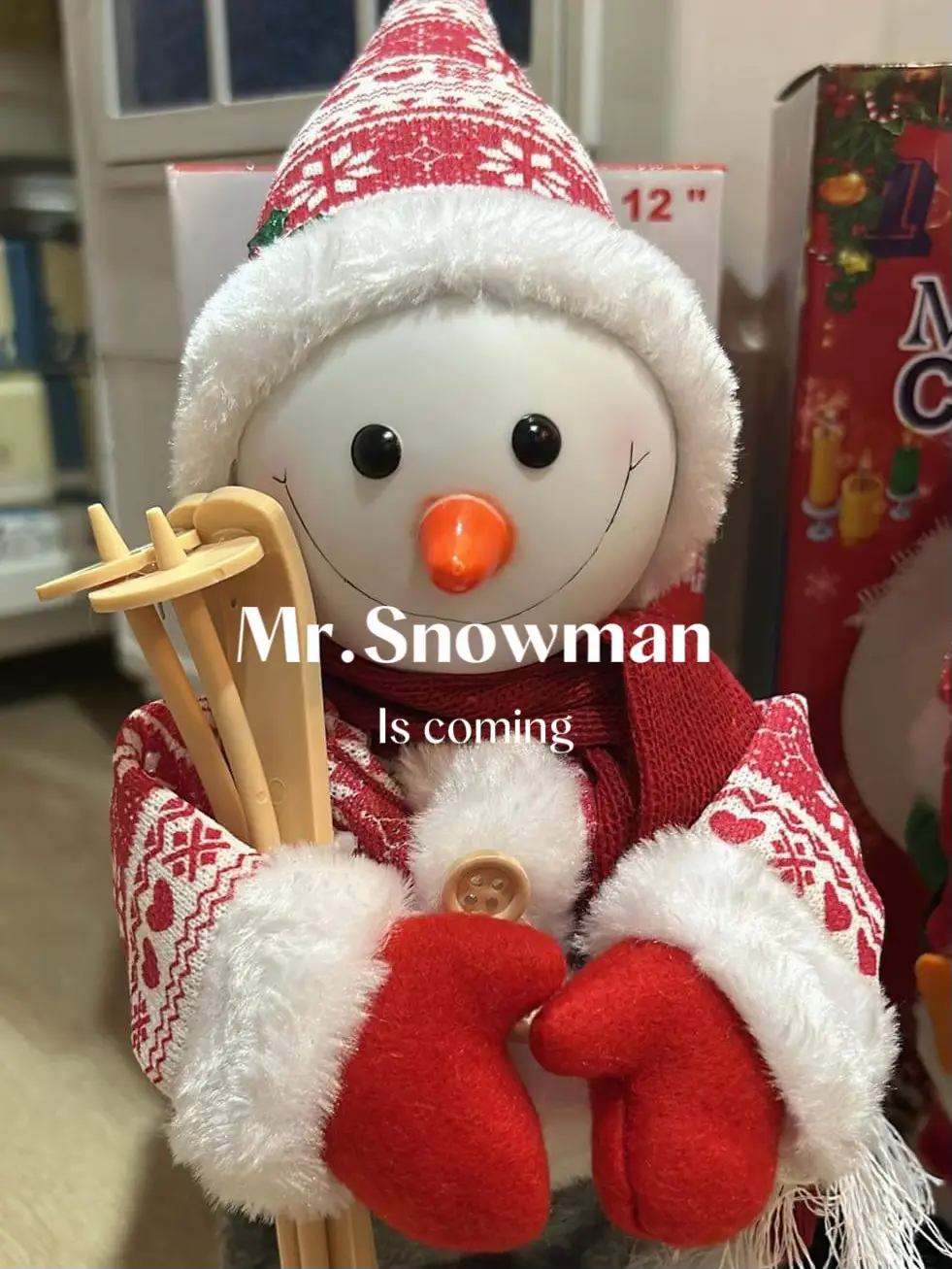 Mr. Snowman | วิดีโอที่เผยแพร่โดย PPPC👫 | Lemon8