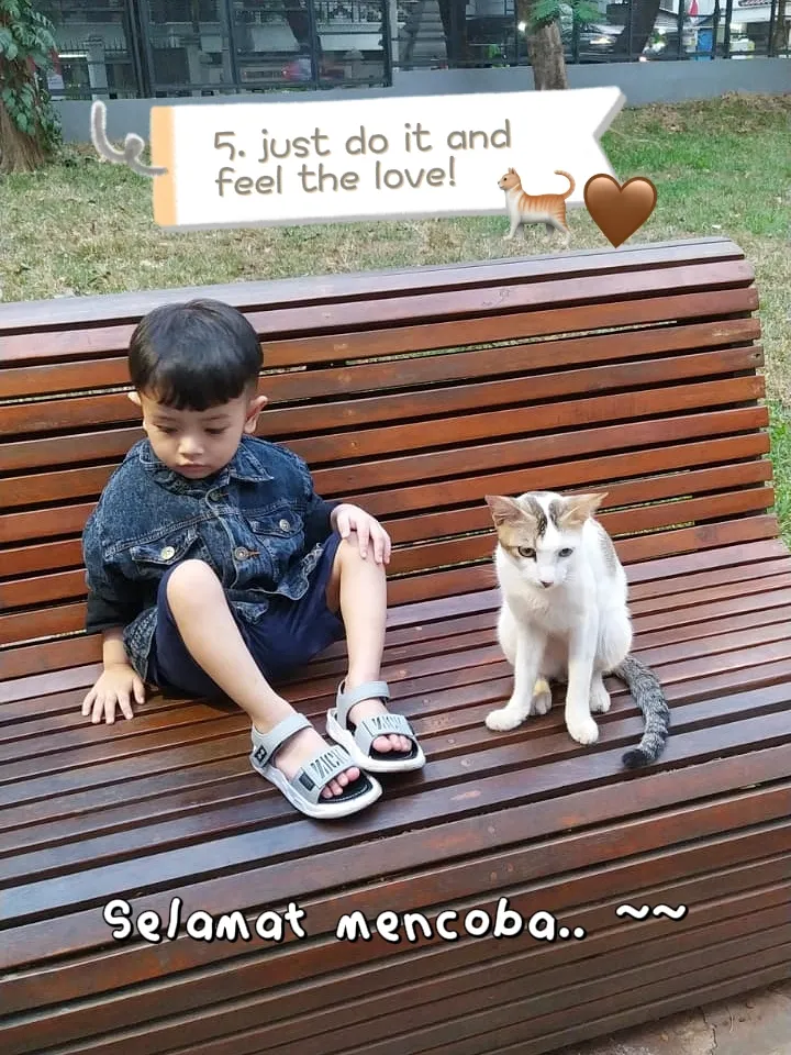 SIAPA YANG UDAH BESAR MASIH TAKUT MEOW!?😣sstt jang | Galeri diposting ...