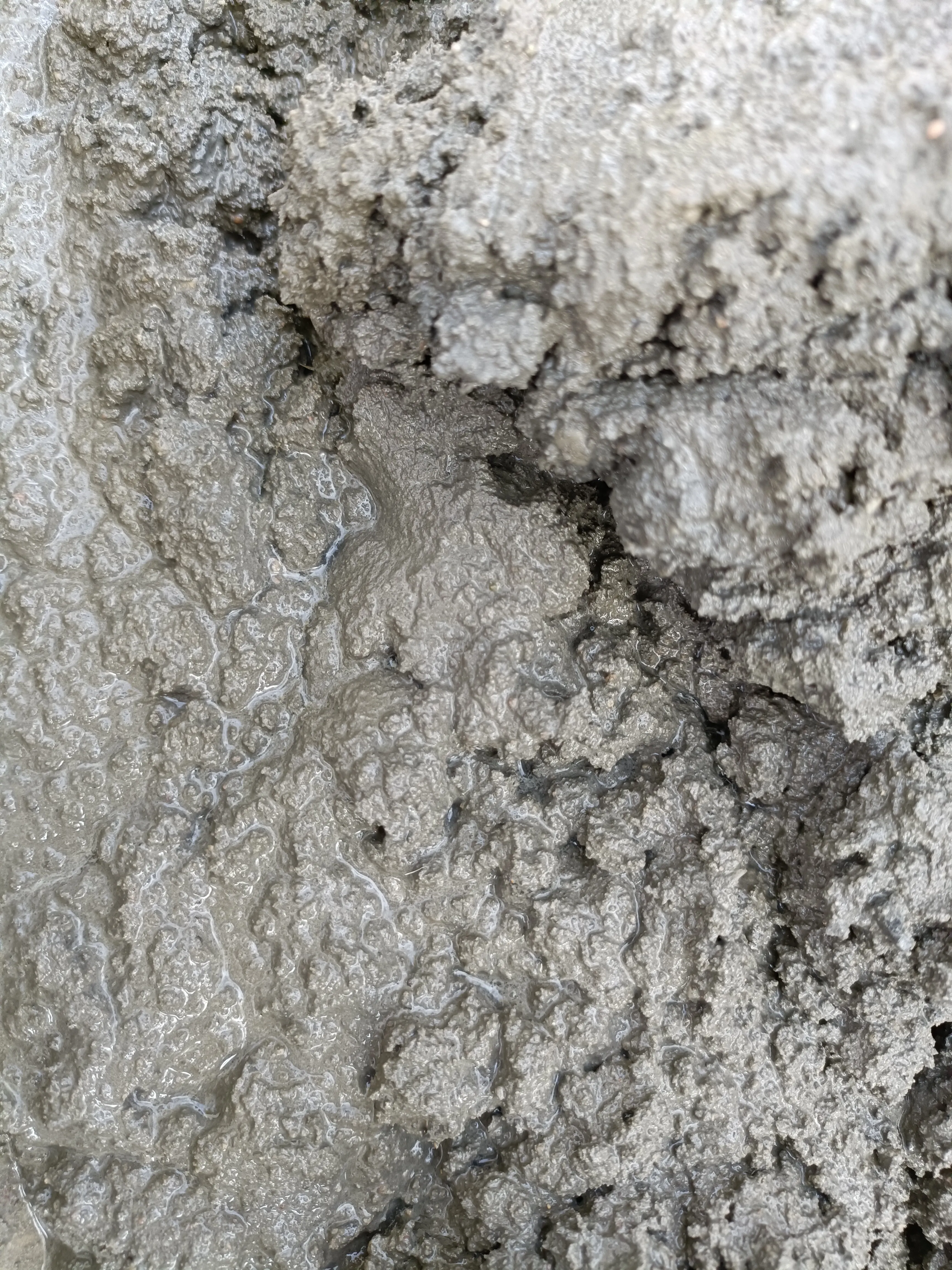 ปรับปรุงบ้านรกๆ ด้วยงบ 150 บาท | แกลเลอรีที่โพสต์โดย Wolf Carpentry | Lemon8