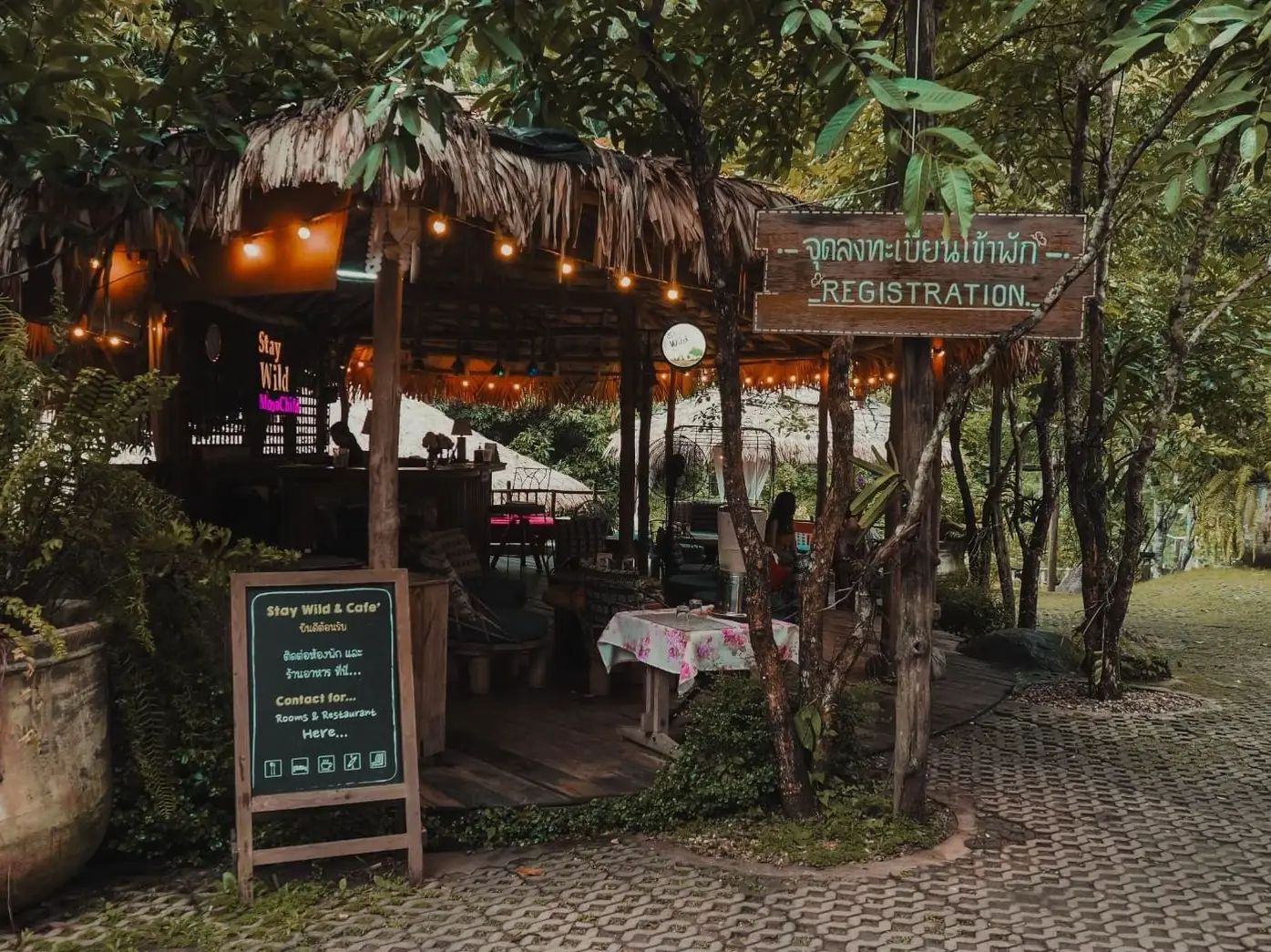 🌿 ชาร์จแบตร่างกาย นอนพักผ่อนดื่มด่ำธรรมชาติ Stay Wild & Caf | แกลเลอรี ...