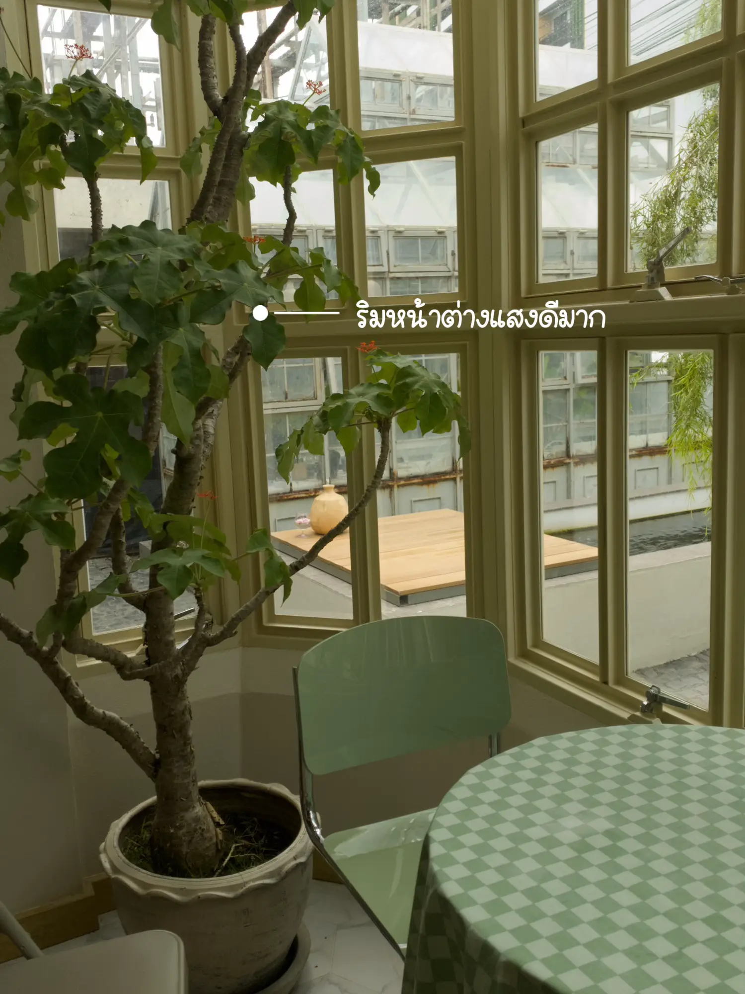 🌿Chinu coffee (Nakhonpathom) | Gallery posted by 𝓰𝓪𝓽𝓮 | Lemon8