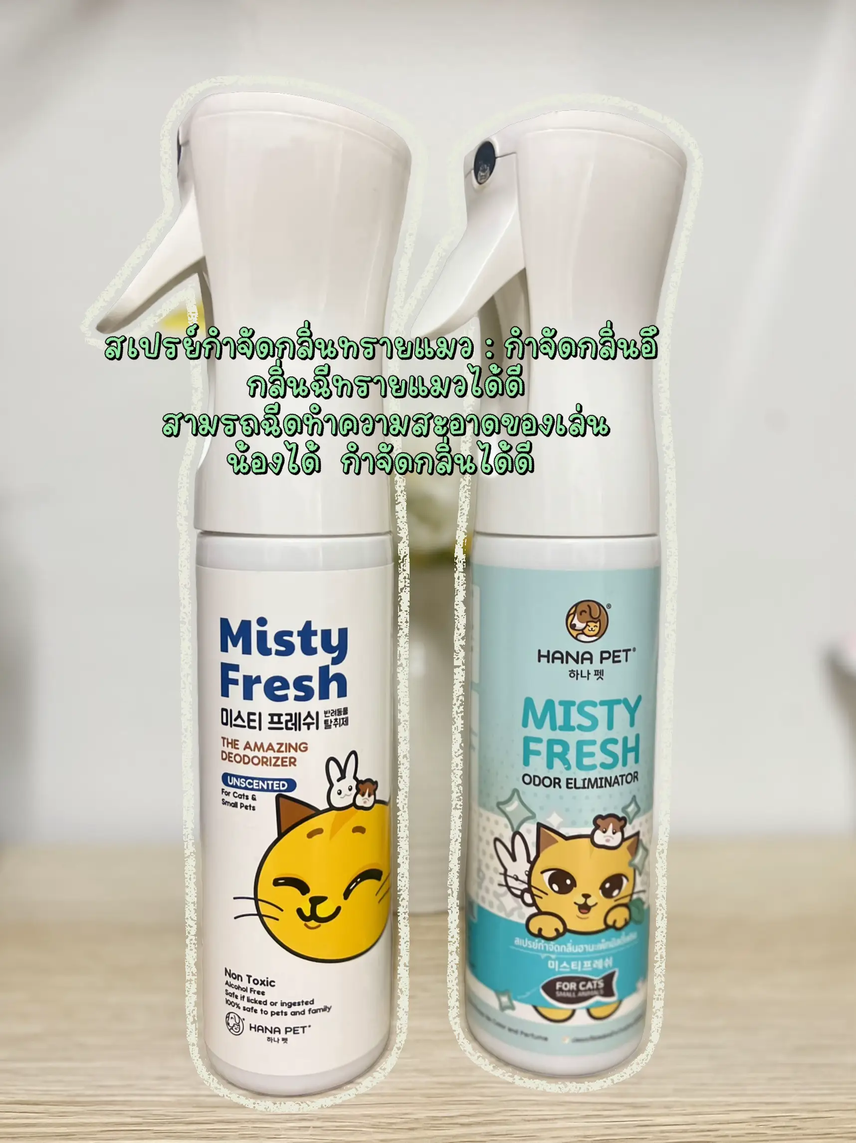 ของใช้น้องแมว ที่ควรมีติดบ้าน | แกลเลอรีที่โพสต์โดย Yves.tt | Lemon8