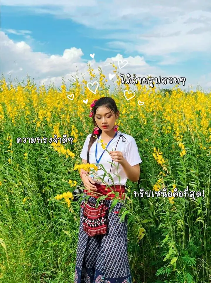 โรงแรมและการท่องเที่ยว เรียนยากมั้ย ?! | แกลเลอรีที่โพสต์โดย Ploypapas41 | Lemon8