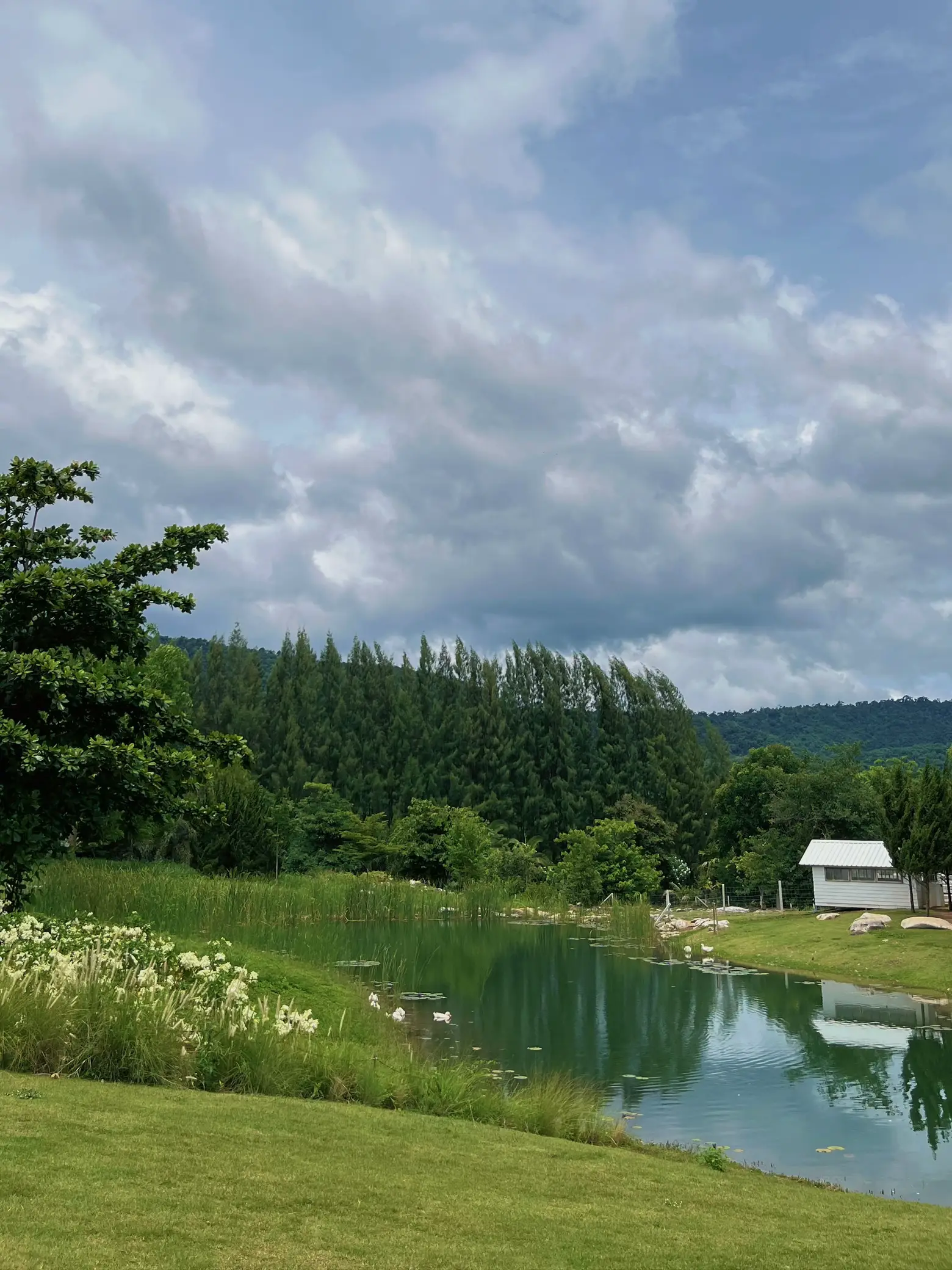 Bucolic Khao Yai🌳🐑 | แกลเลอรีที่โพสต์โดย Usagi🐇 | Lemon8