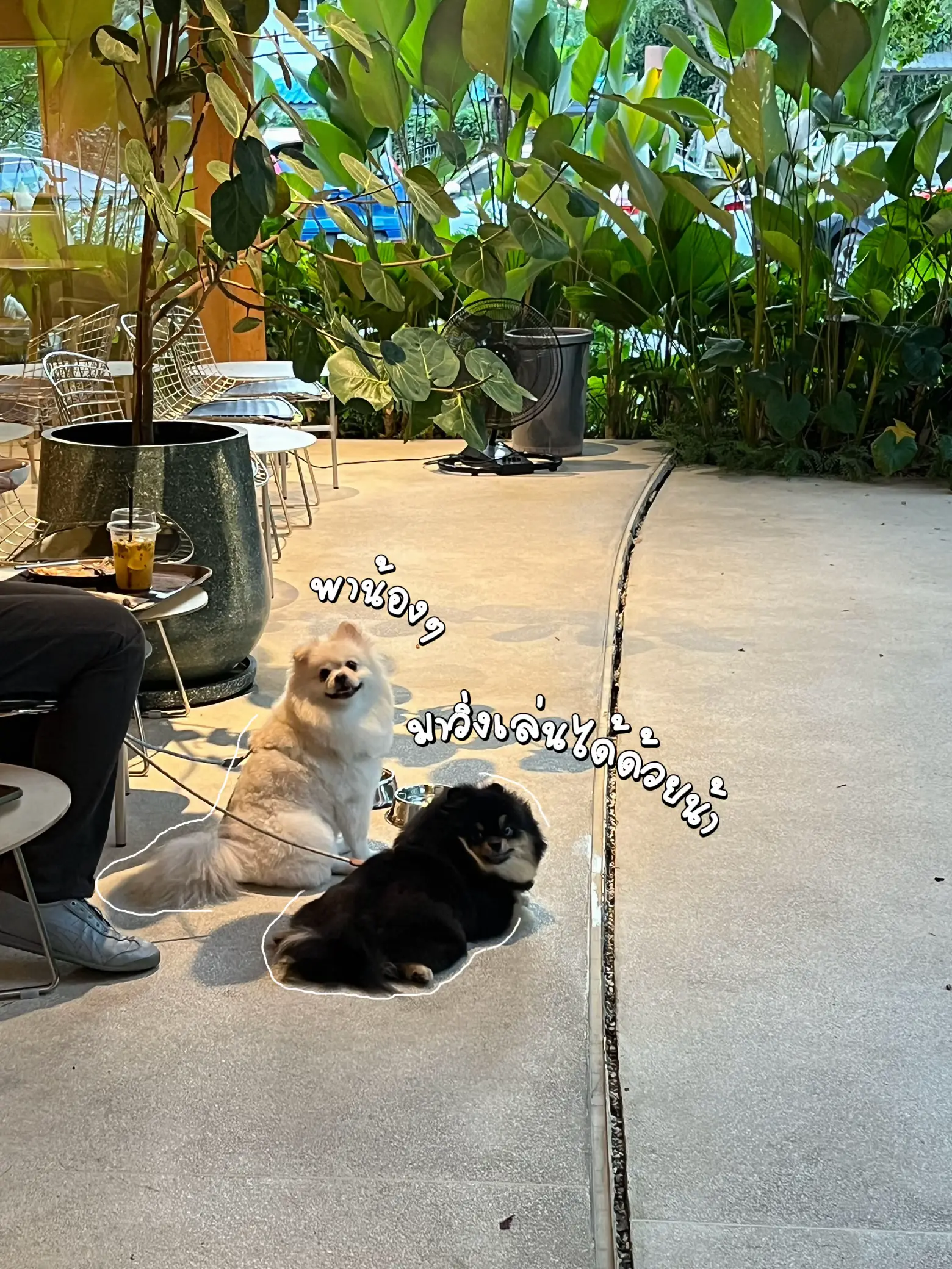 Horme Cafe Nonthaburi | แกลเลอรีที่โพสต์โดย oramaterialgirl | Lemon8