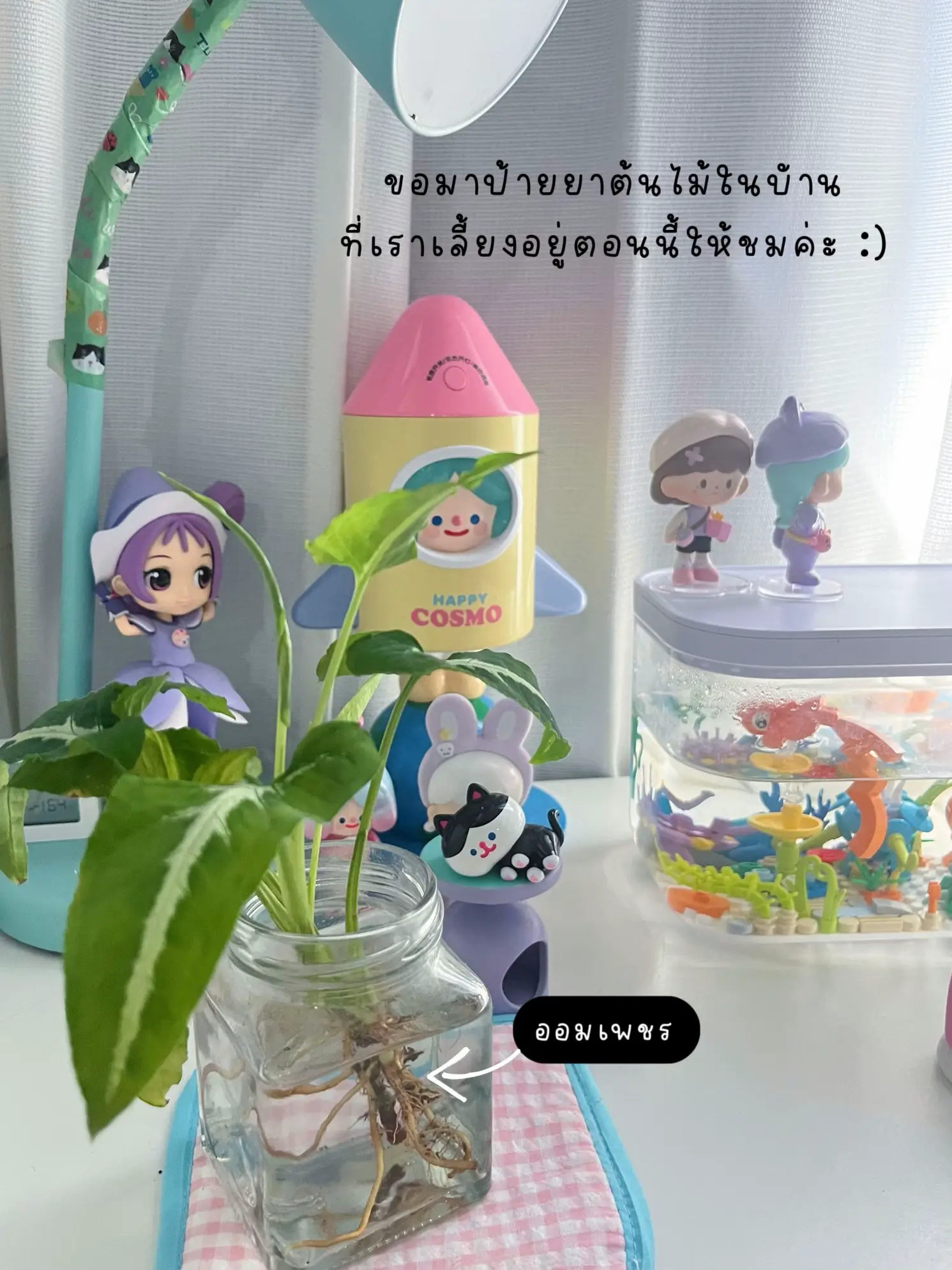 มาเลี้ยงไม้น้ำในบ้านกันเถอะ 🍋🫧 สดชื่นแบบ 100 แกลเลอรีที่โพสต์โดย