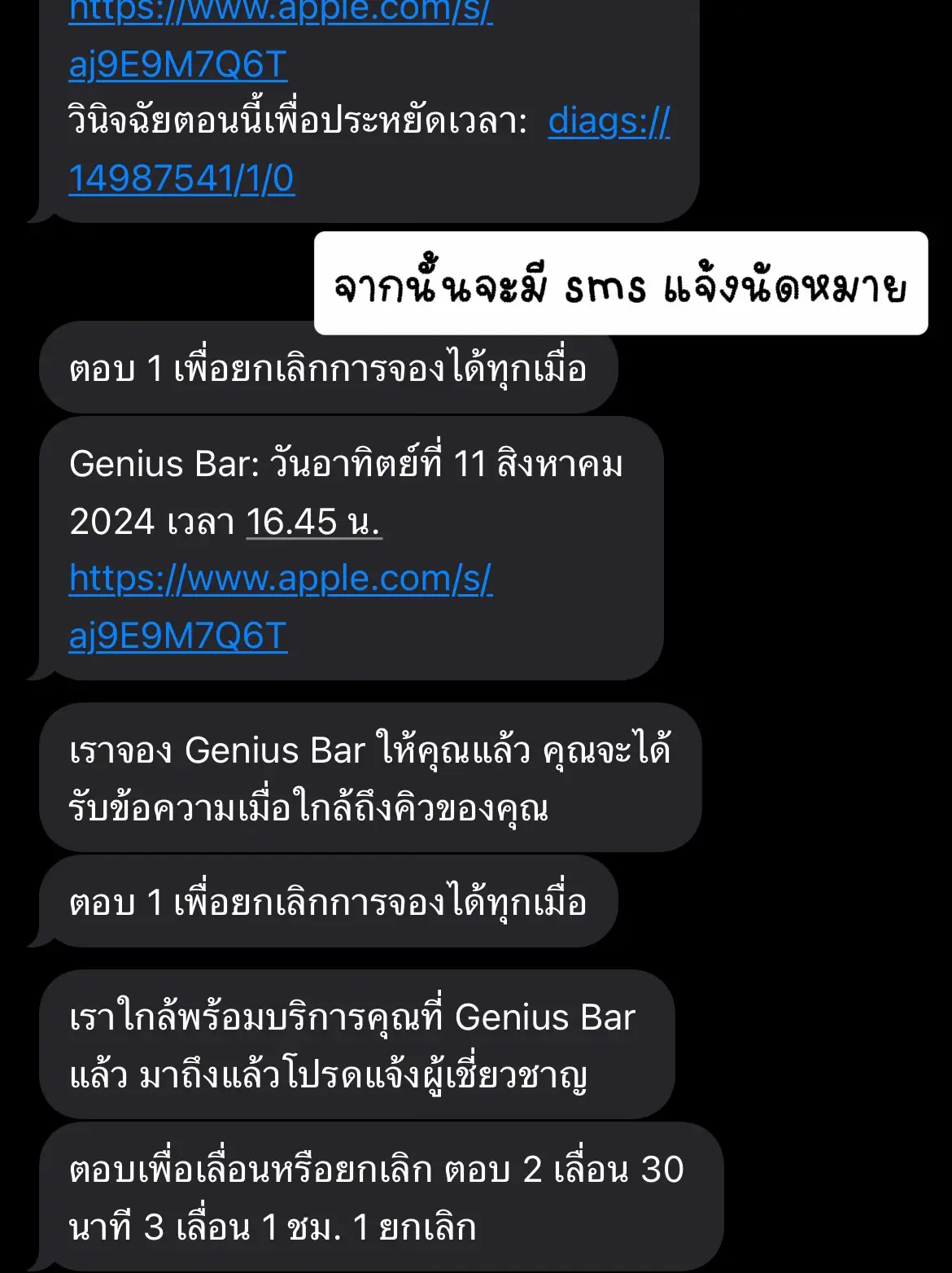 วันนี้มาเปลี่ยนแบตน้อง iPhone 13 ที่ Apple Store CTW กันค่ะ | แกลเลอรี ...