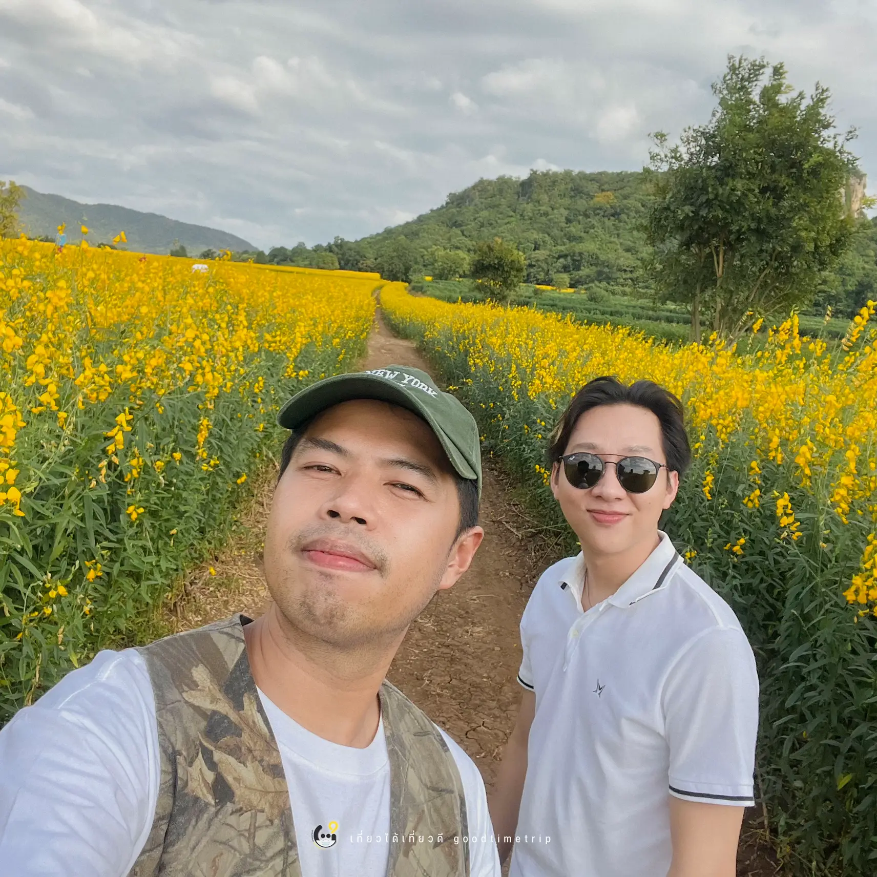 🌼บานสะพรั่งทุ่งปอเทือง | แกลเลอรีที่โพสต์โดย Goodtimetrip | Lemon8