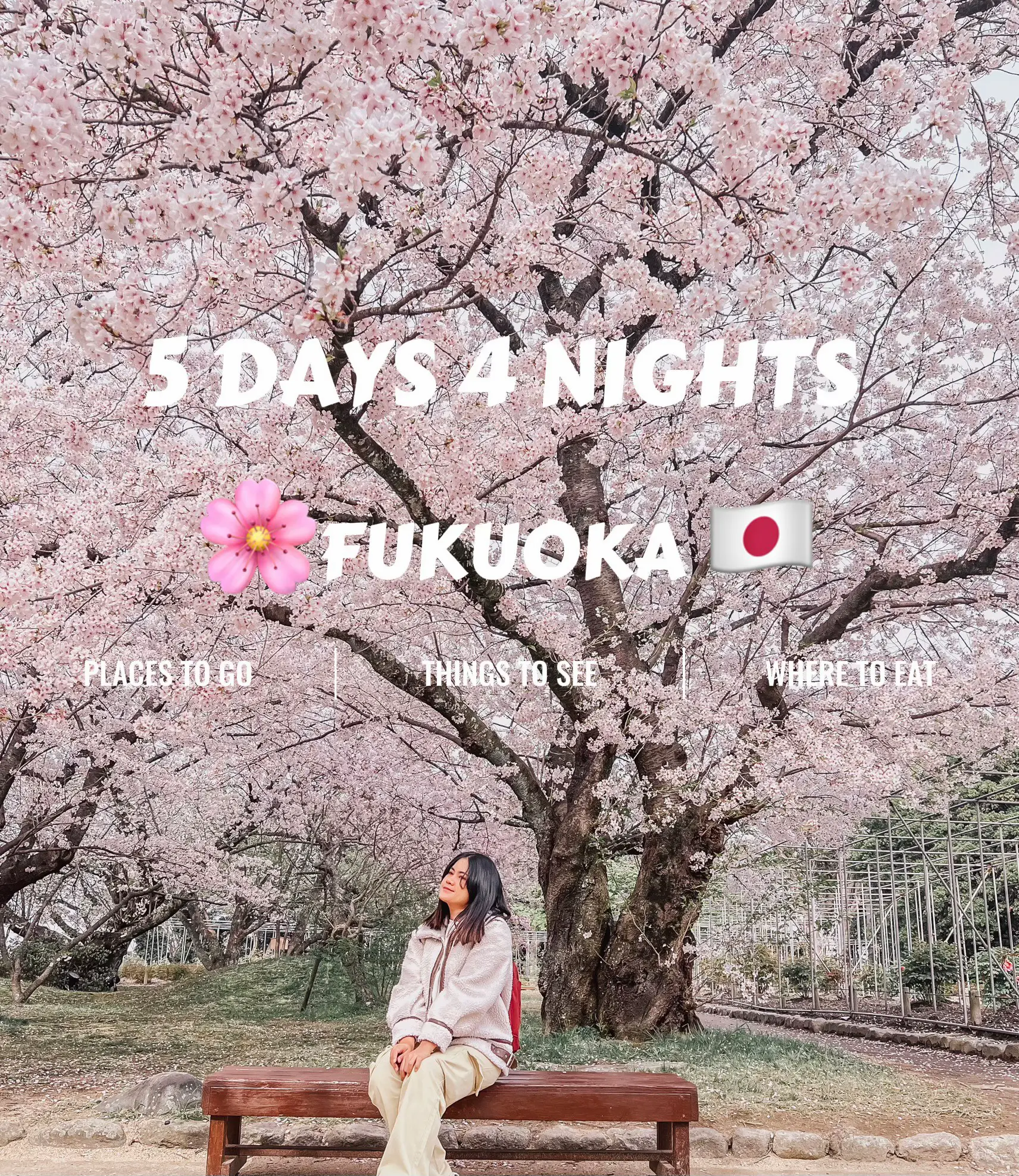 ไปดู Sakura🌸Fukuoka 5Day 4Night 🇯🇵 | แกลเลอรีที่โพสต์โดย Nan Kanyakorn ...