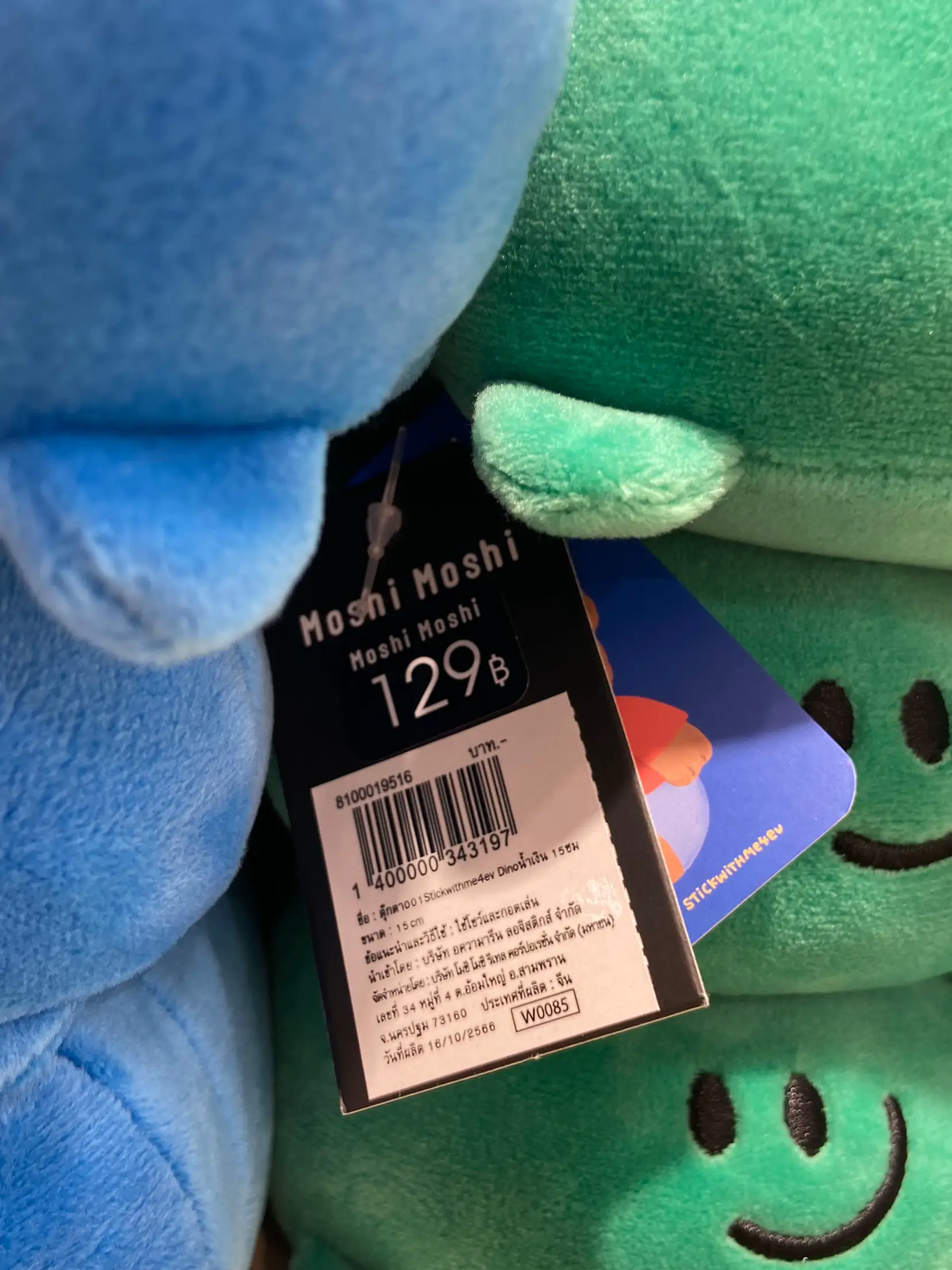 น้องๆคอลใหม่ในmoshi moshi | แกลเลอรีที่โพสต์โดย ˅ɞWʚ˅ | Lemon8