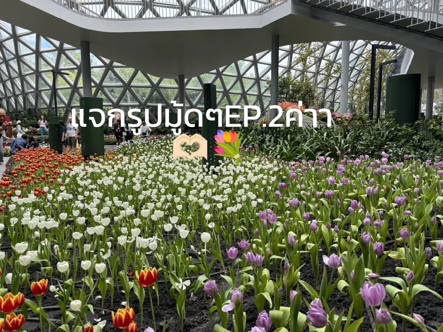 แจกรูปภีมวสุสุดหล่อ | แกลเลอรีที่โพสต์โดย ใบเตย เตยห่วย | Lemon8