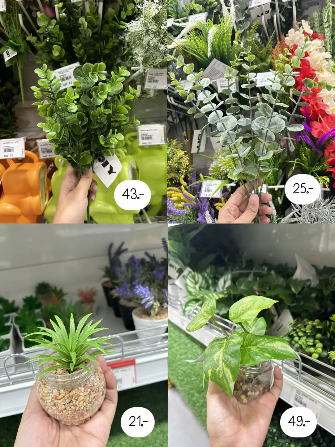 📍พิกัดต้นไม้แต่งบ้าน Mr. DIY🍀🌿 | แกลเลอรีที่โพสต์โดย Kidsna evee | Lemon8