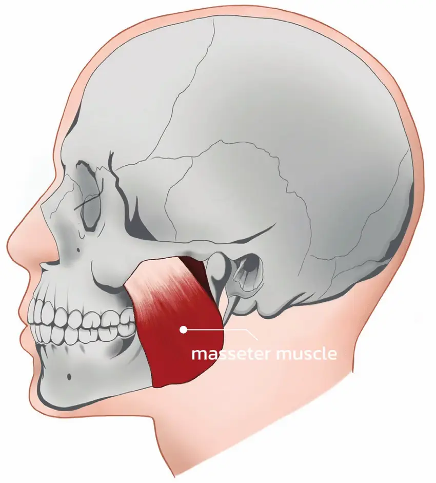 how i slimmed my chubby face naturally🥹 🏻 | Gallery posted by shanice ...