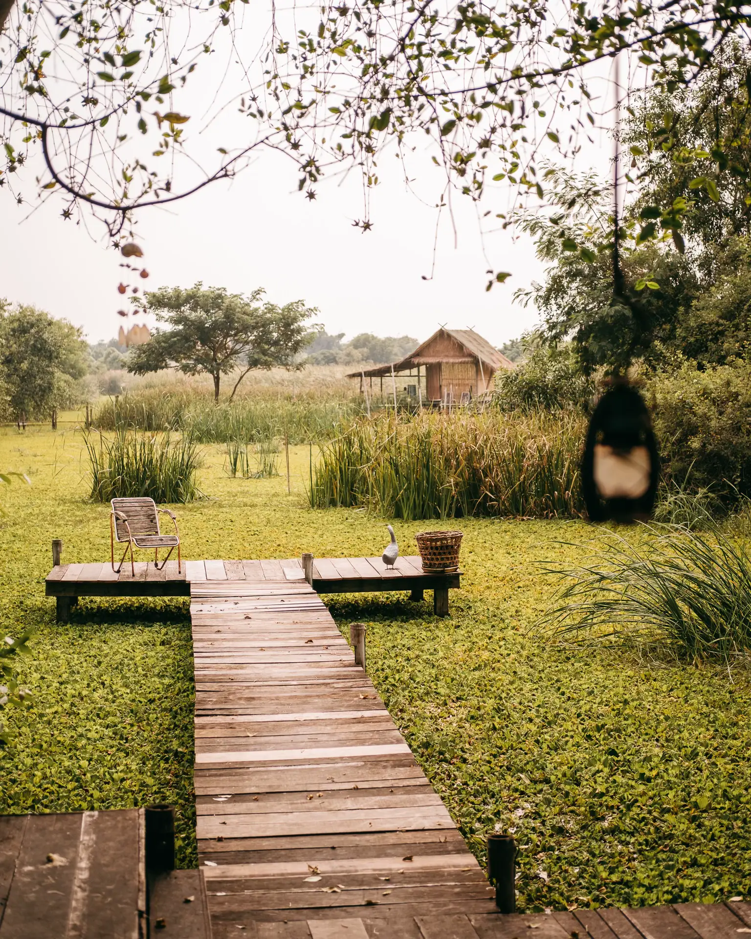Sweet Forest, a small cafe that hides beautiful nature, Pathum Thani ...