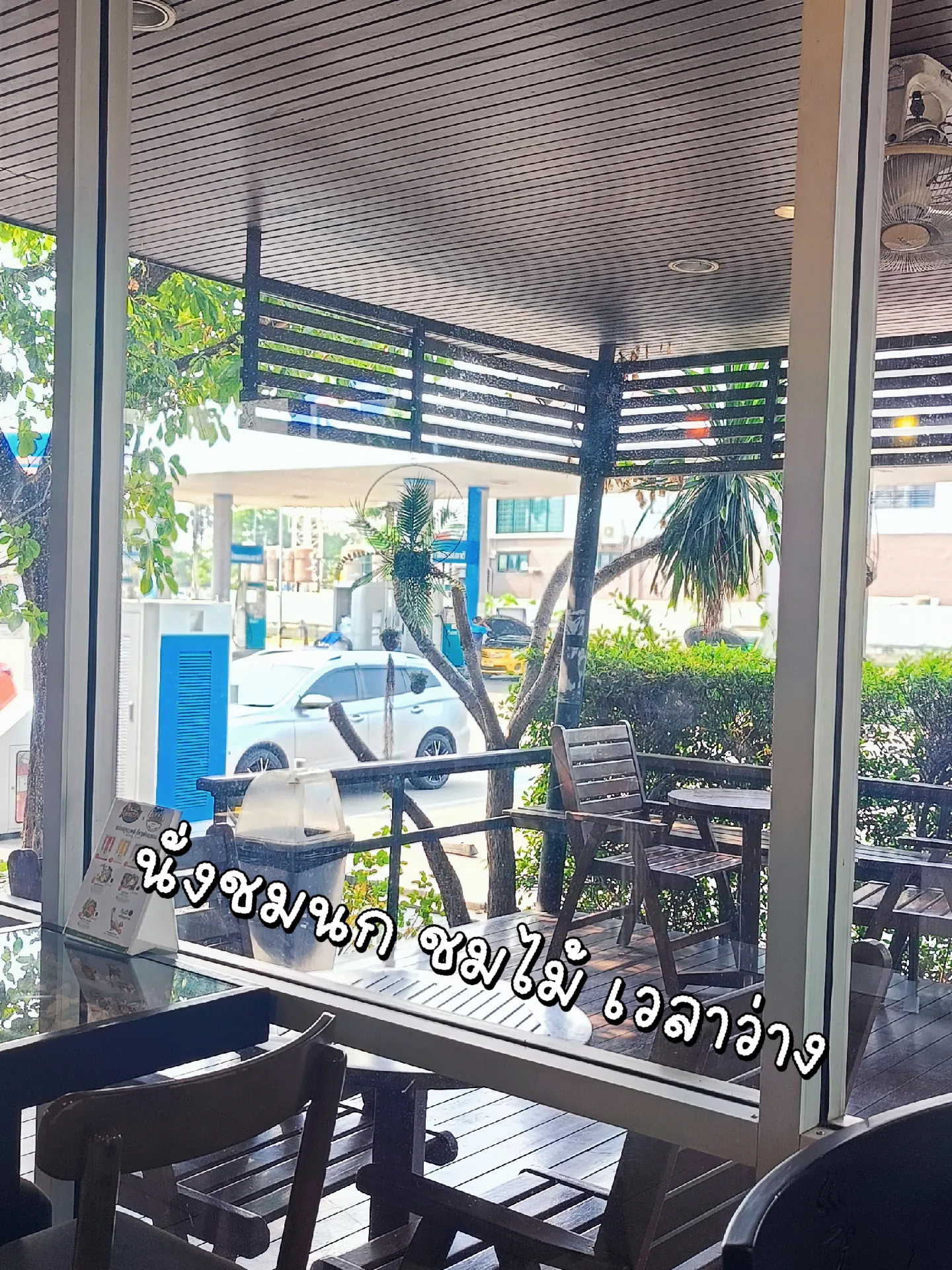 เปิด Cafe Amazon | 2025 ประสบการณ์ผู้ใช้จริงบน Lemon8