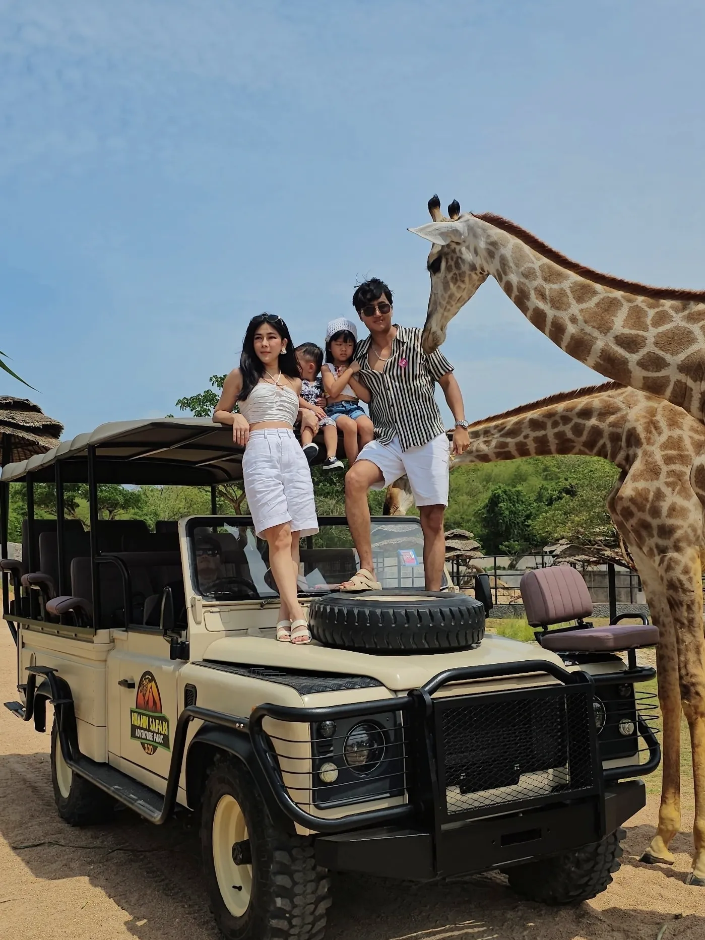 🌳Huahin Safari🦒ถ่ายรูปกับน้อนอัลป้ากาและยีราฟฉ่ำๆ🦙 | แกลเลอรีที่โพสต์โดย Sugarappl3 | Lemon8